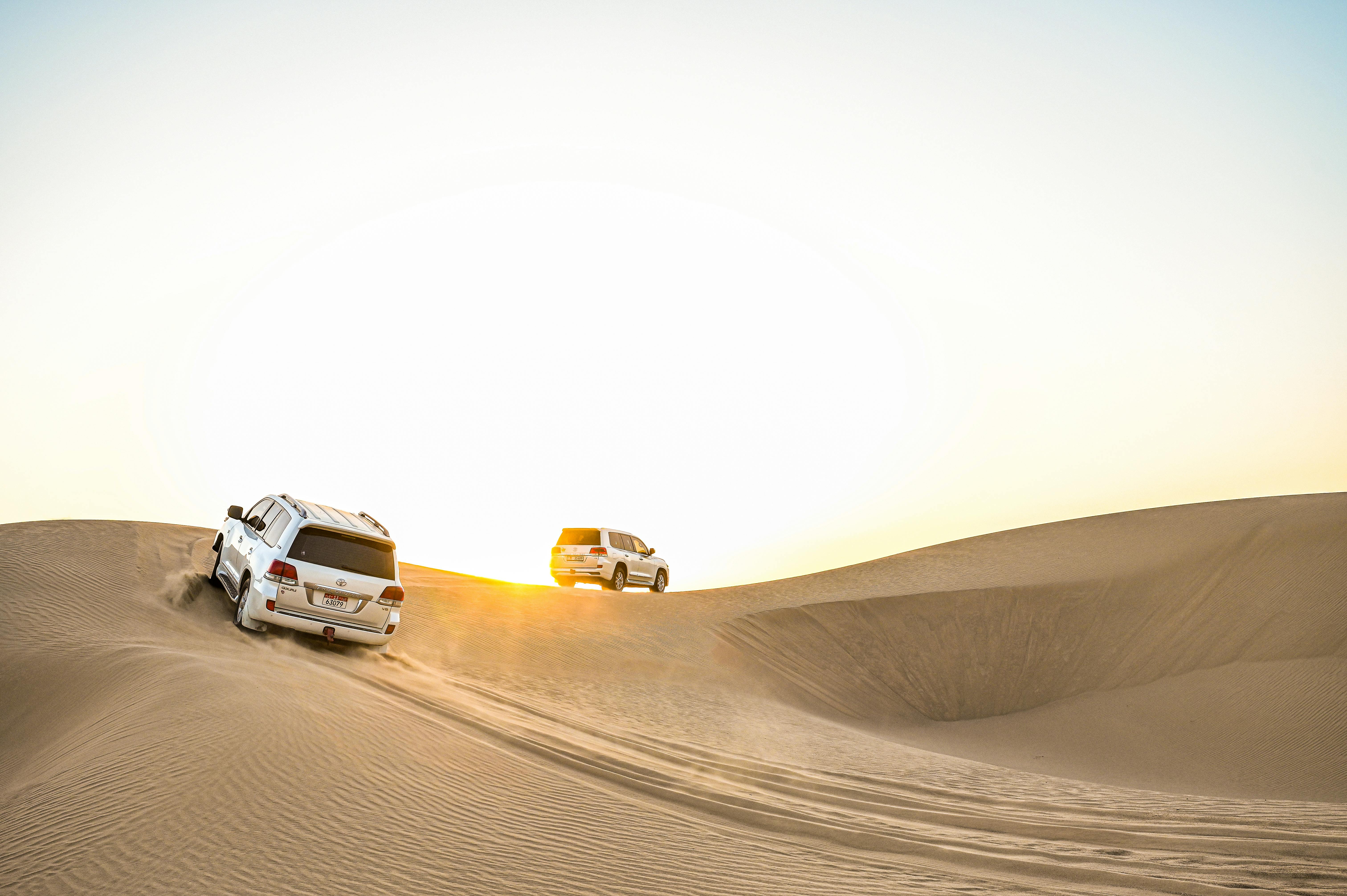 Driving+Licence+Back+And+Front Photos, Download The BEST Free Driving ...