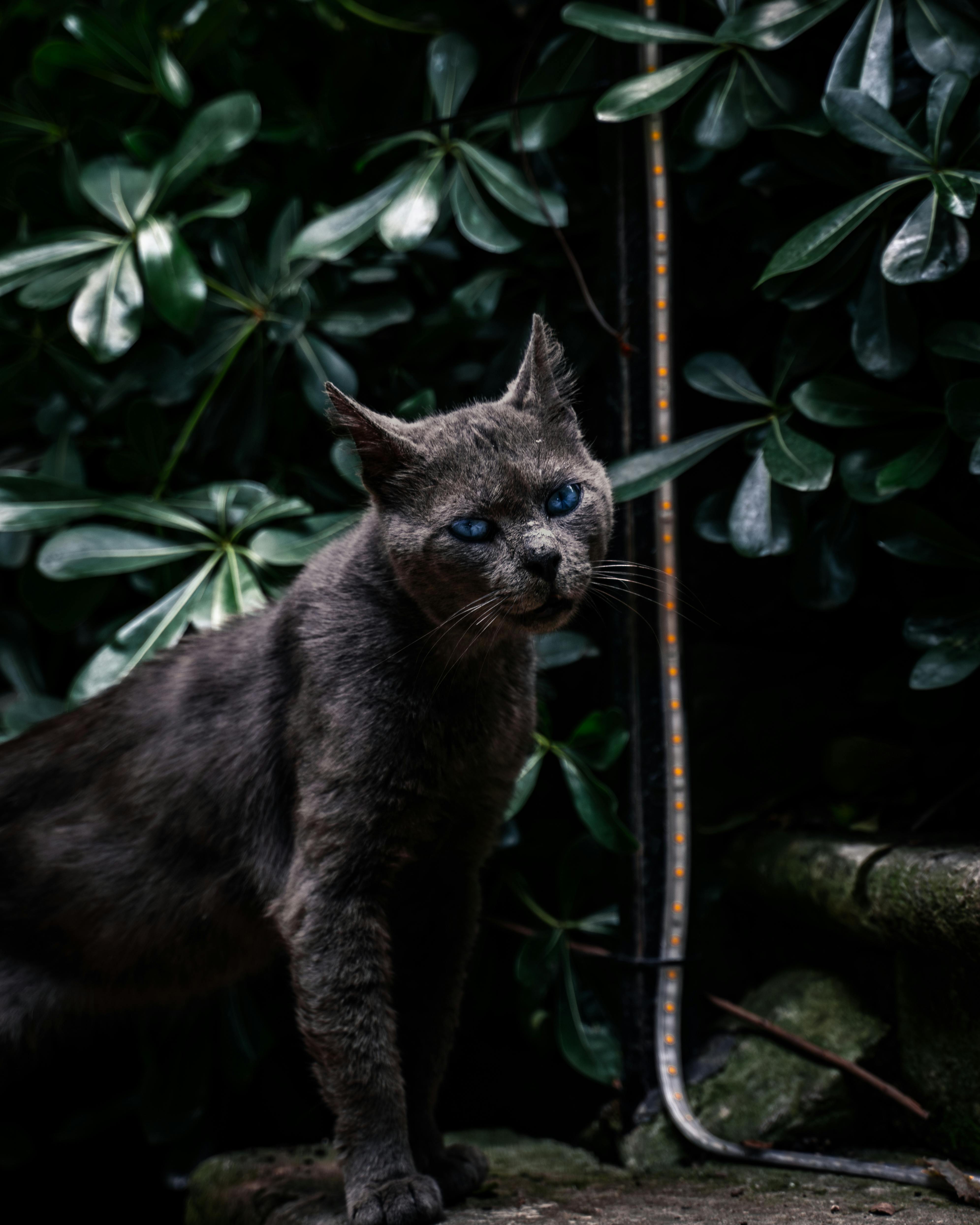 +To+The+Firstie+Backgroun+Hai+N+Kari+Ni+Hoy+Na+Yaar+Ho+Jayega+Ke+Saat ...