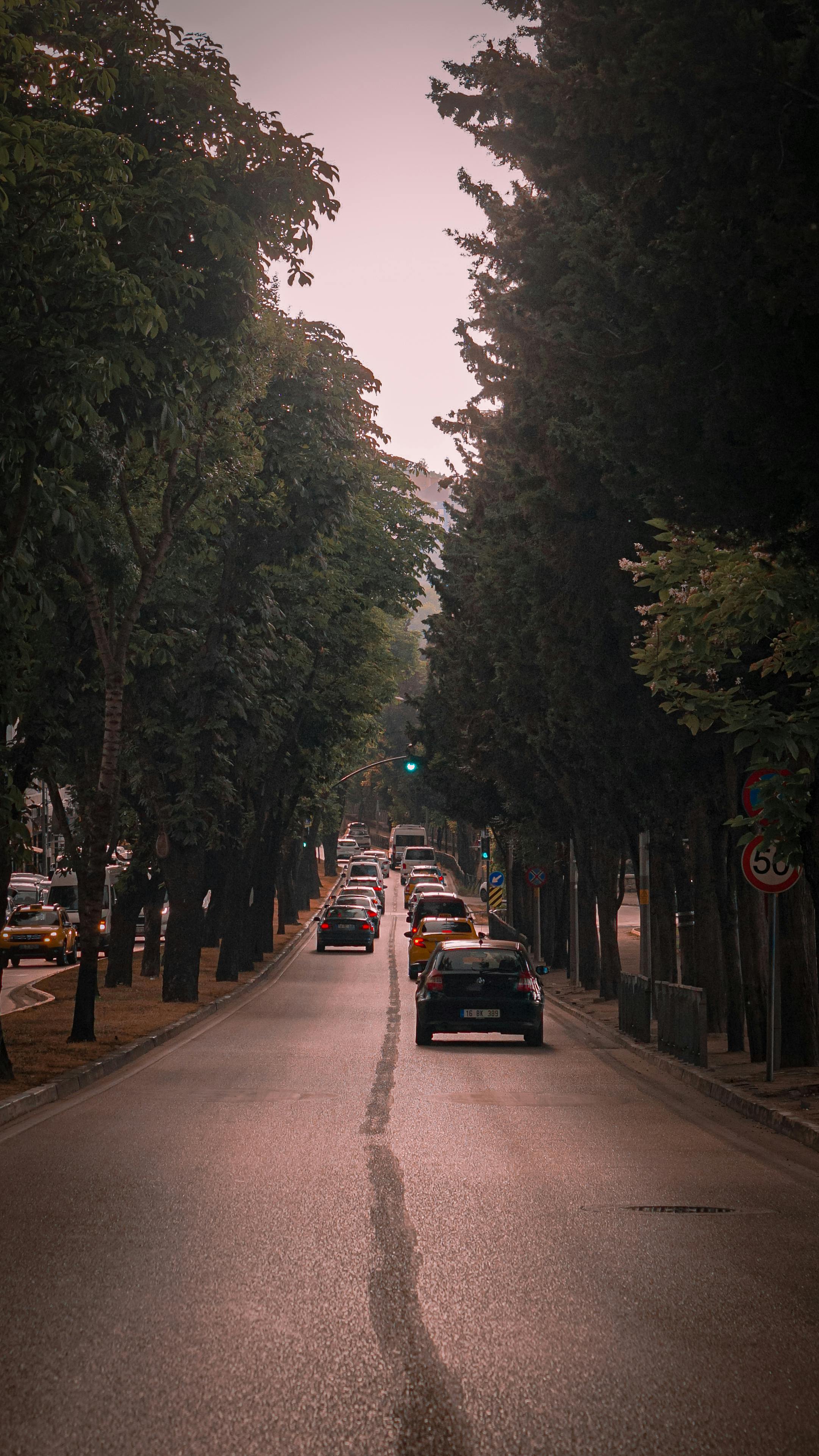 Driving+Licence+Back+And+Front Photos, Download The BEST Free Driving ...