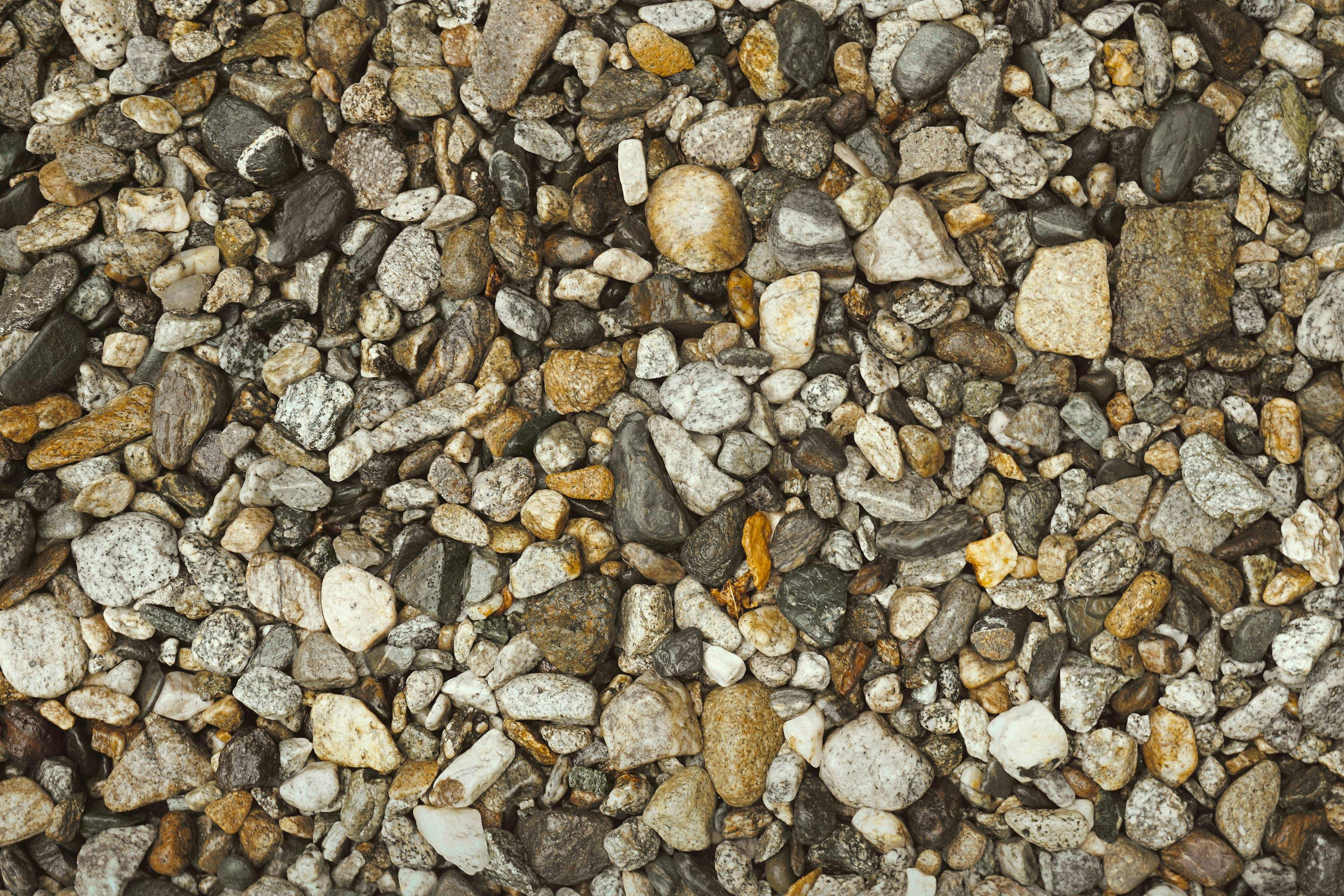 Rough Photos, Download The BEST Free Rough Stock Photos & HD Images