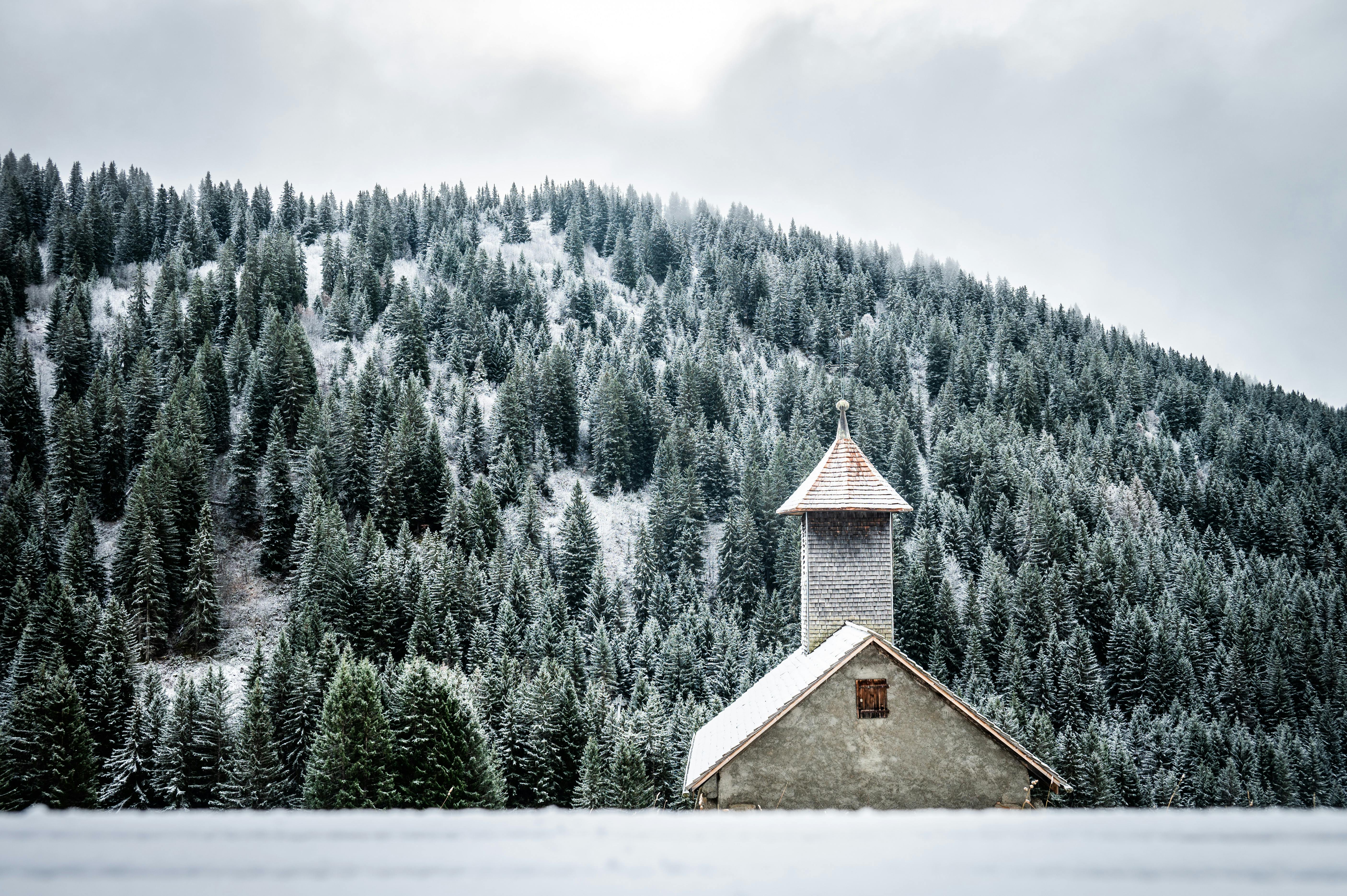 Winter Landscape Ryzhkov Olekandr Shutterstock Photos, Download The ...