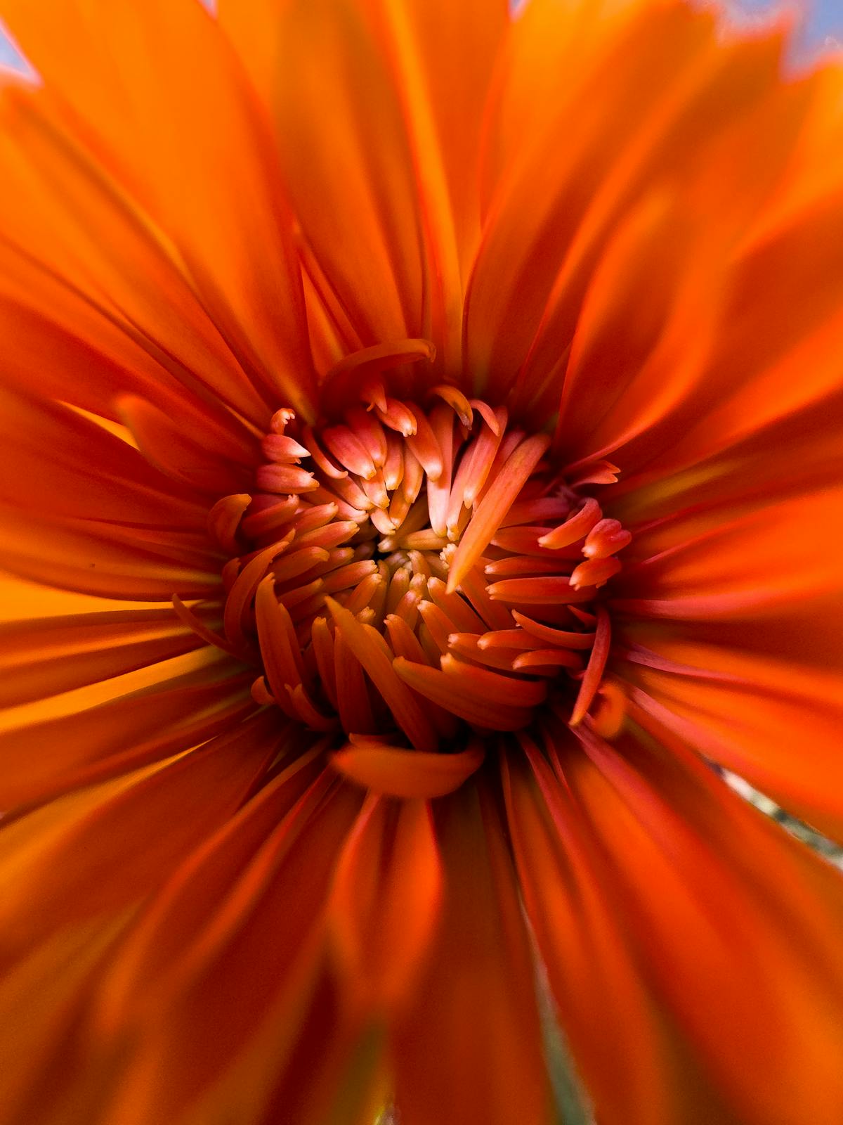 Wallpaper+4k+Wang+Lin Photos, Download The BEST Free Wallpaper+4k+Wang ...