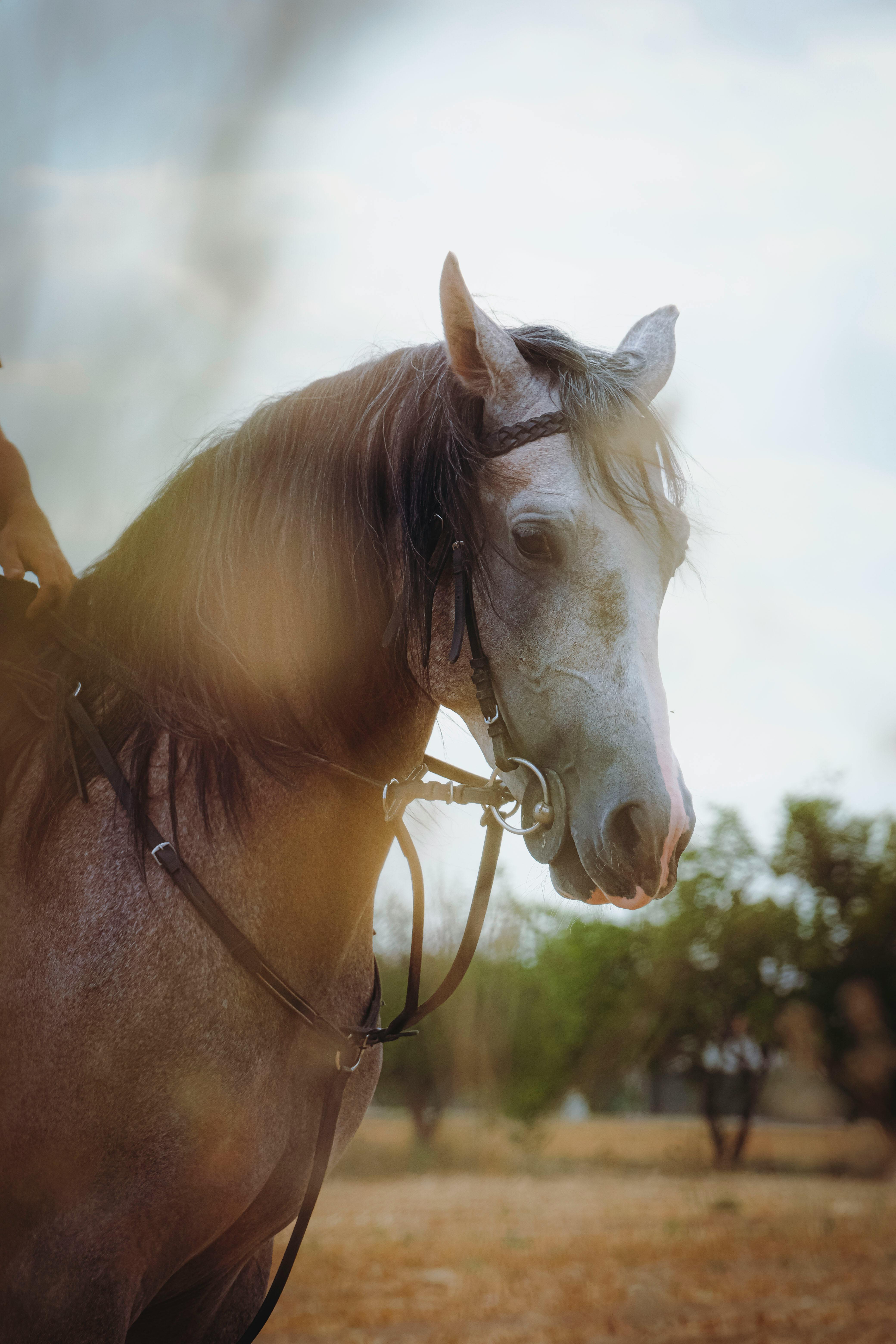 Edpm+Photo Photos, Download The BEST Free Edpm+Photo Stock Photos & HD ...