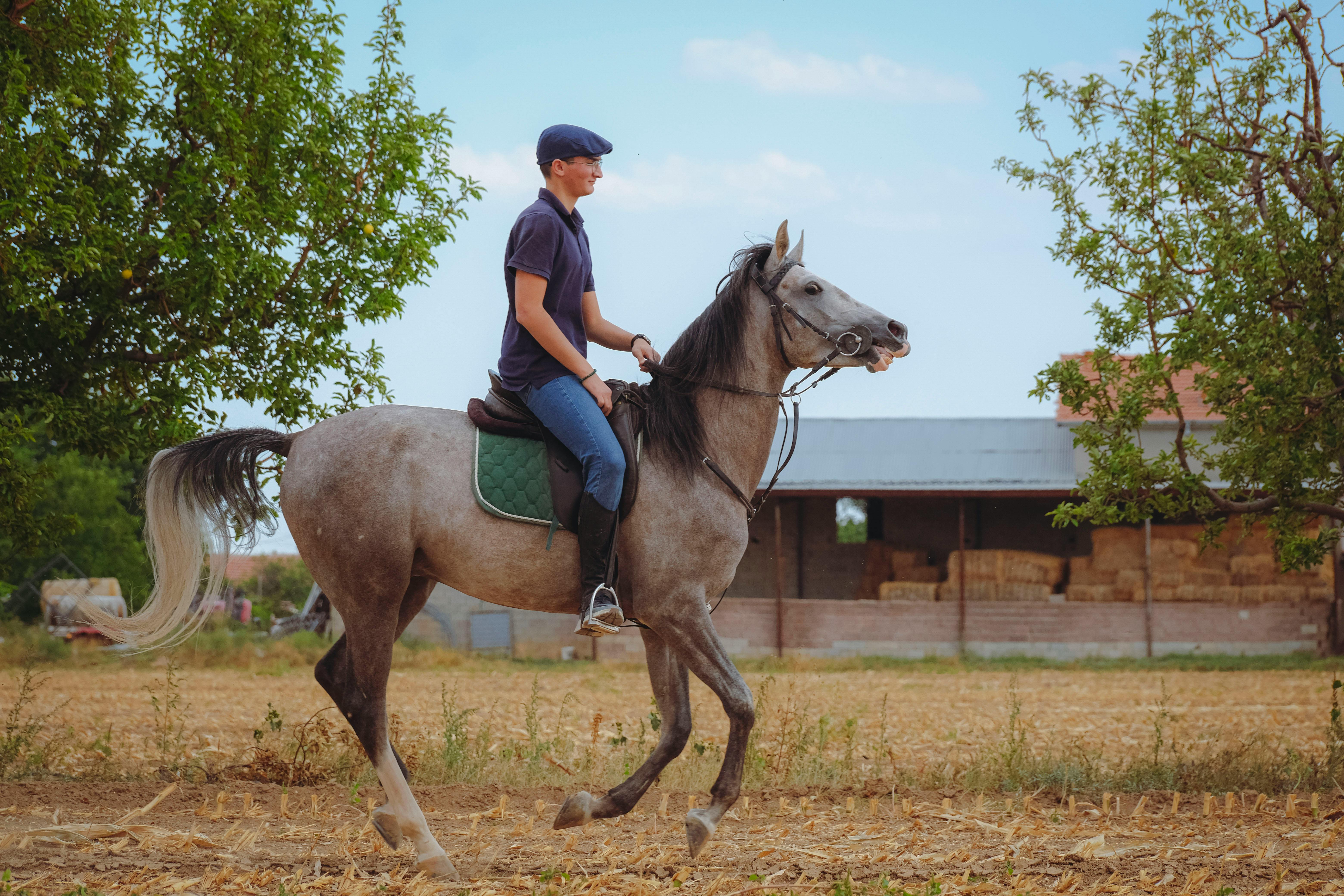 Spongebob Photo Photos, Download The BEST Free Spongebob Photo Stock ...