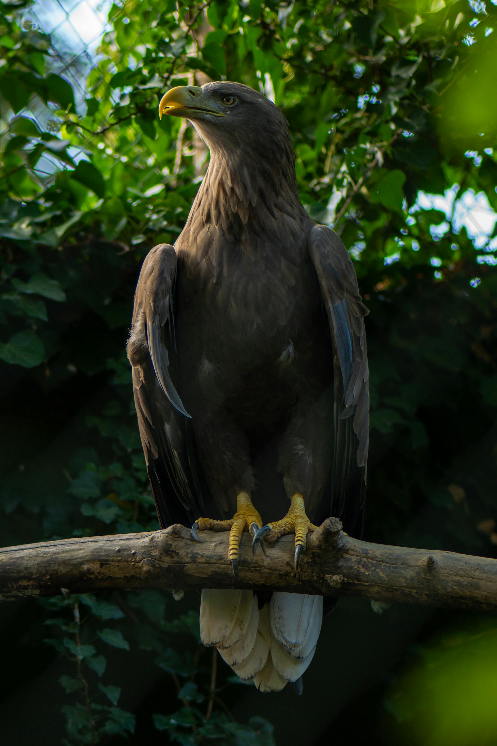 Sath+Sathiya+Images Photos, Download The BEST Free Sath+Sathiya+Images ...