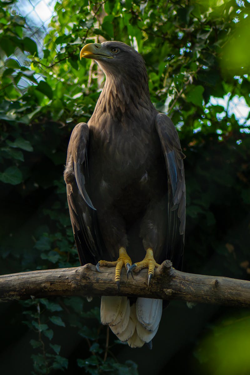 Regards+Images+For+Email+Signature Photos, Download The BEST Free ...