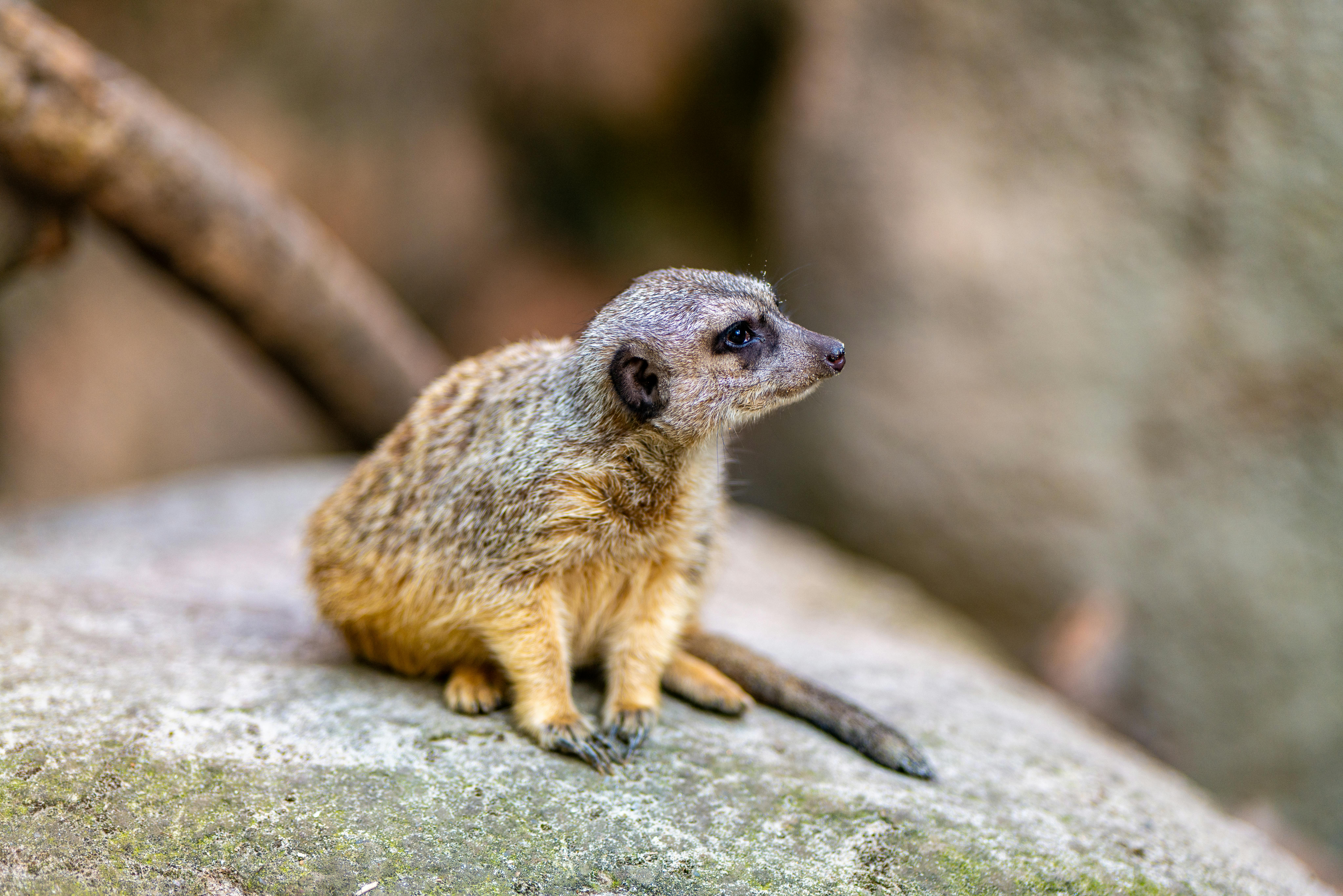 Full Body Photos, Download The BEST Free Full Body Stock Photos & HD Images