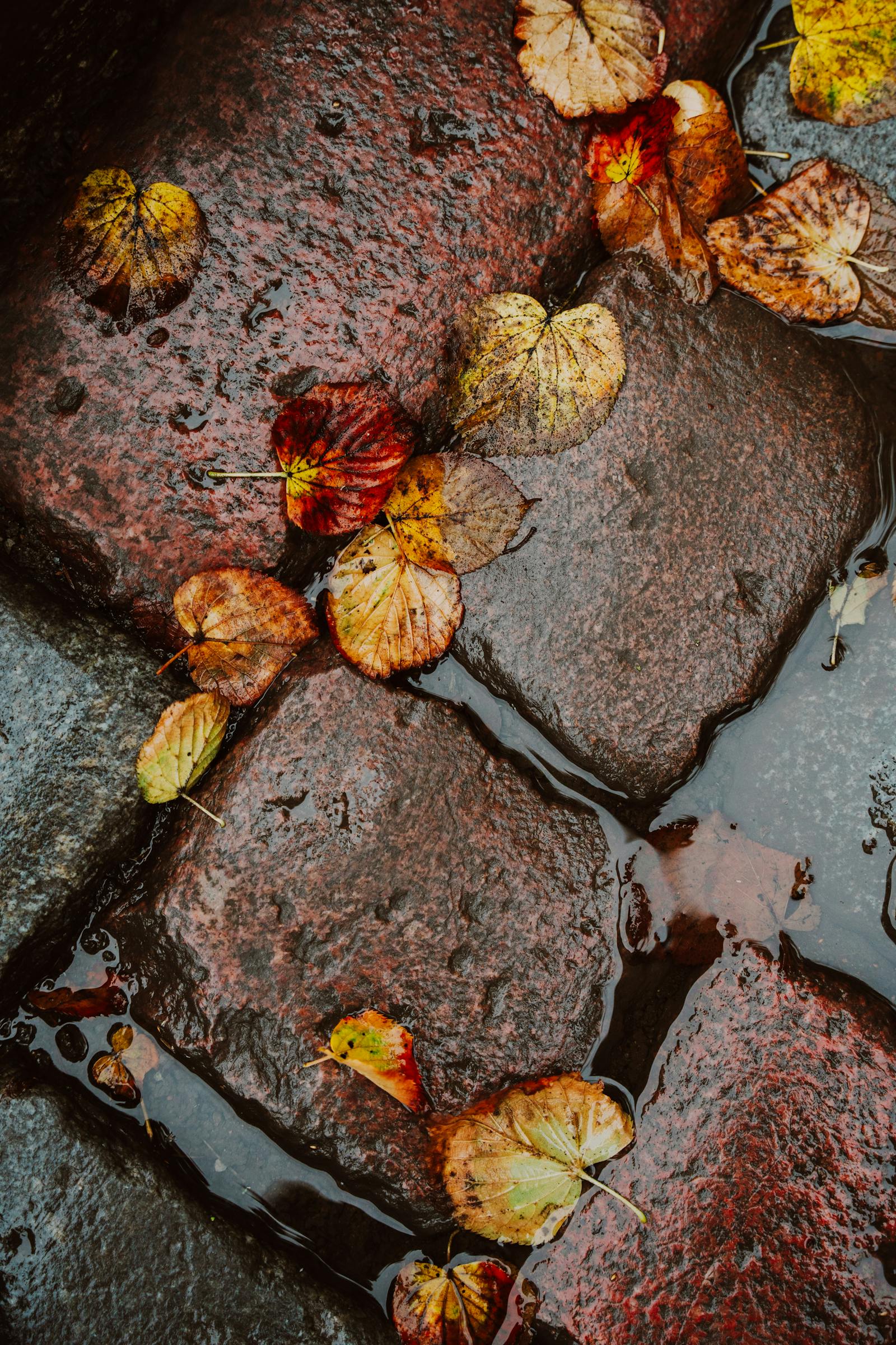 Beabadobe Wallpaper Photos, Download The BEST Free Beabadobe Wallpaper ...