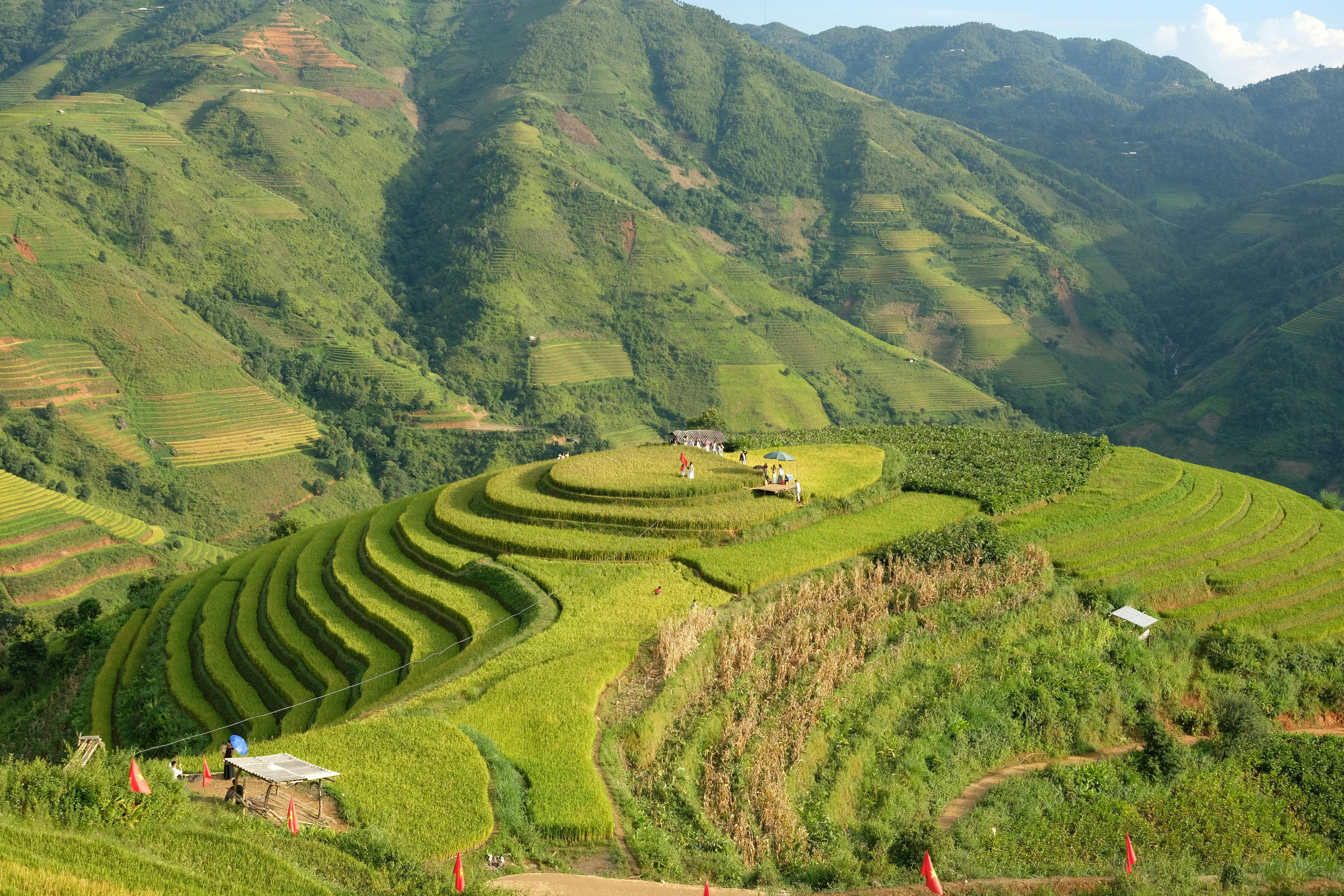 Land Chut Photos, Download The BEST Free Land Chut Stock Photos & HD Images