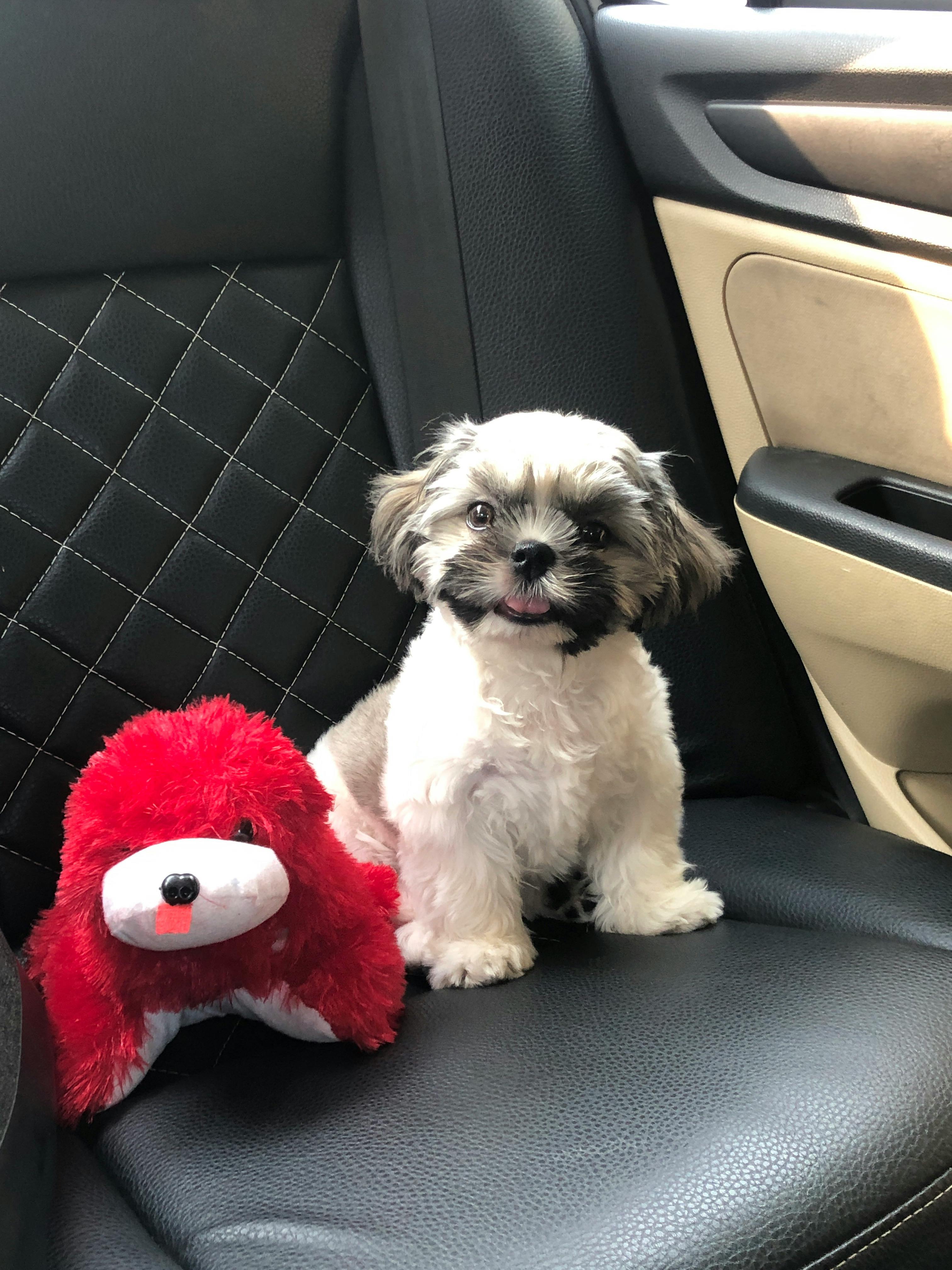 Happy Bitmoji Photos, Download The BEST Free Happy Bitmoji Stock Photos ...