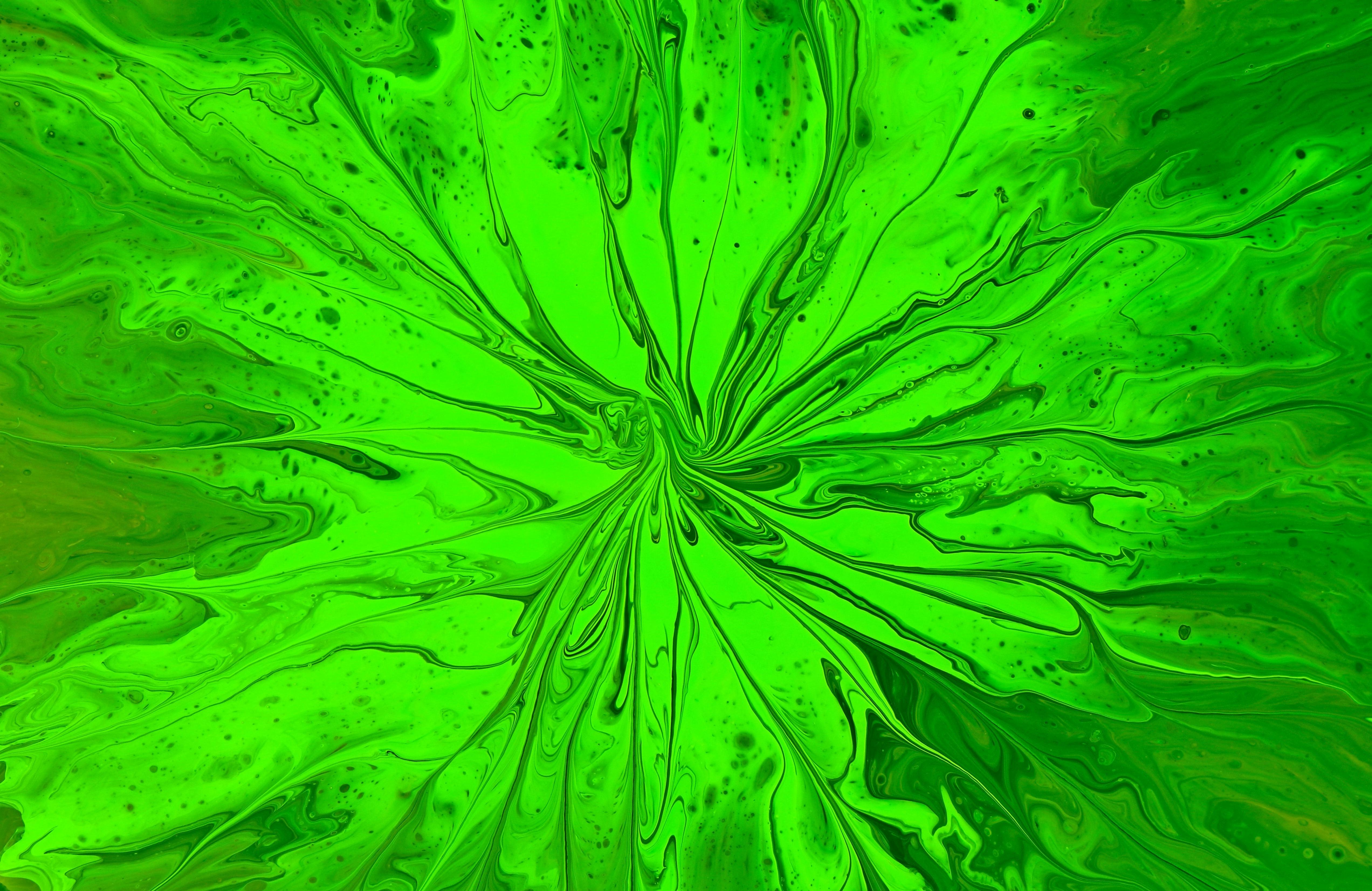 Bearfront+Galleries Photos, Download The BEST Free Bearfront+Galleries ...