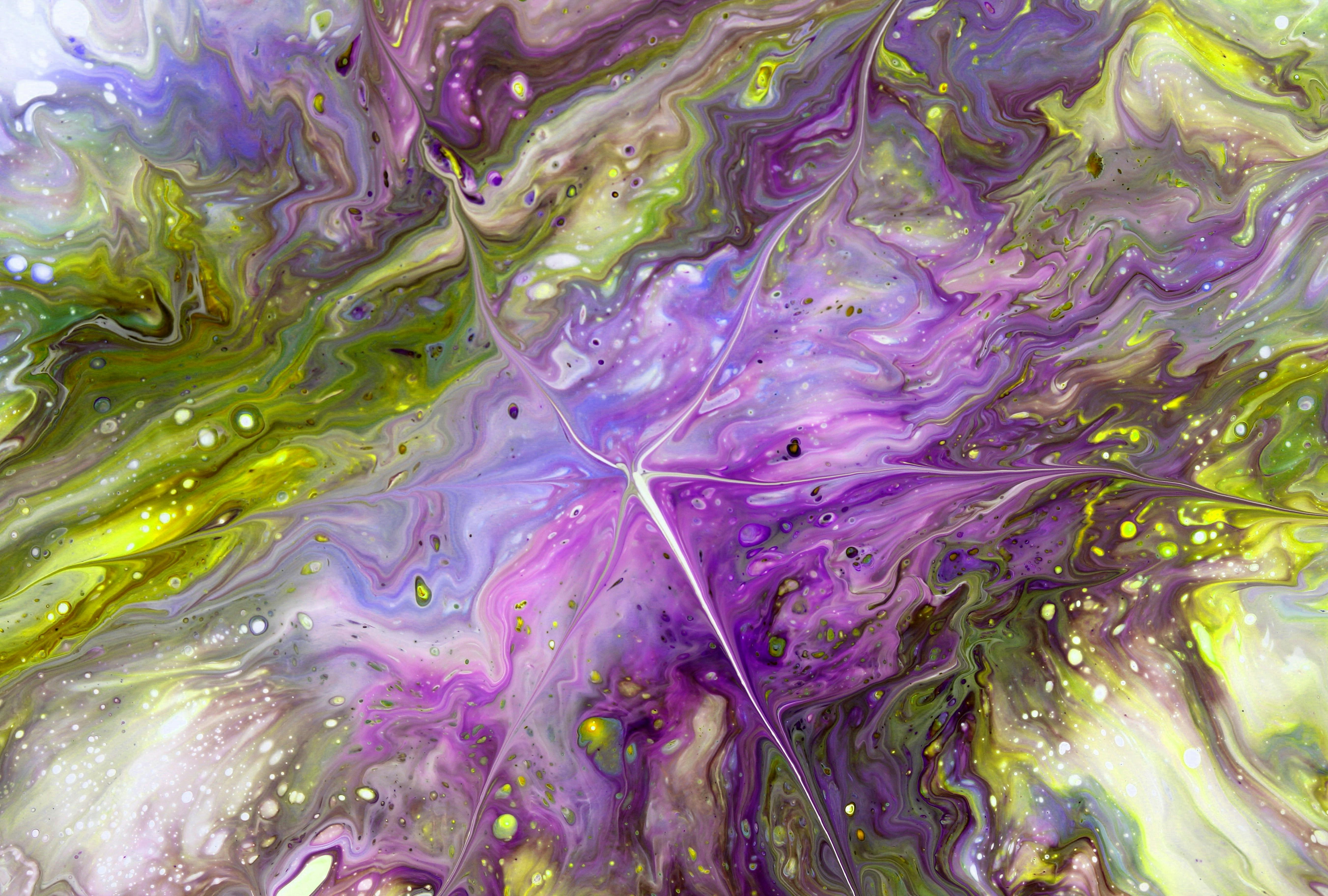 Bearfront+Galleries Photos, Download The BEST Free Bearfront+Galleries ...