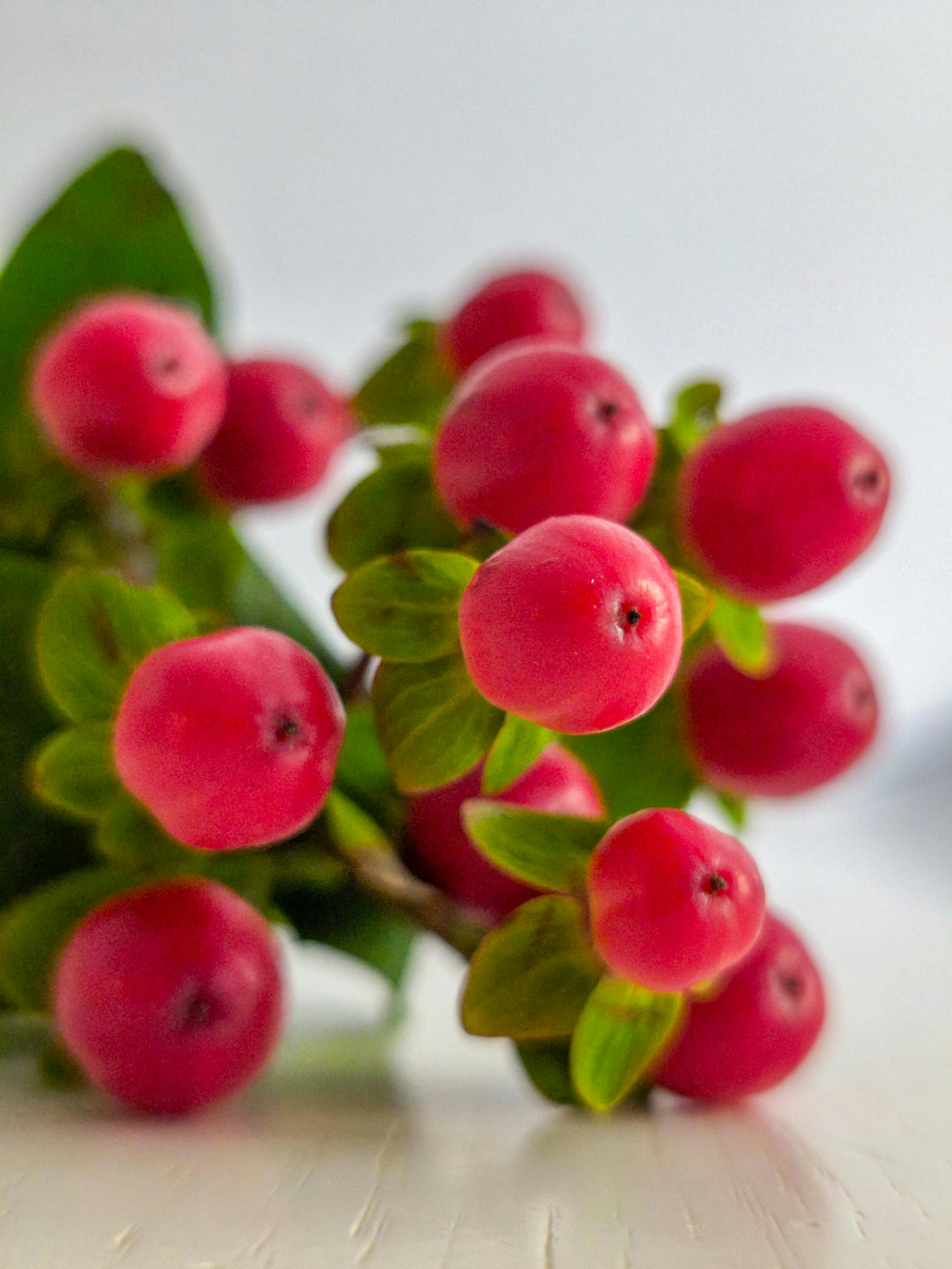 Ganesha Small Photos, Download The BEST Free Ganesha Small Stock Photos ...