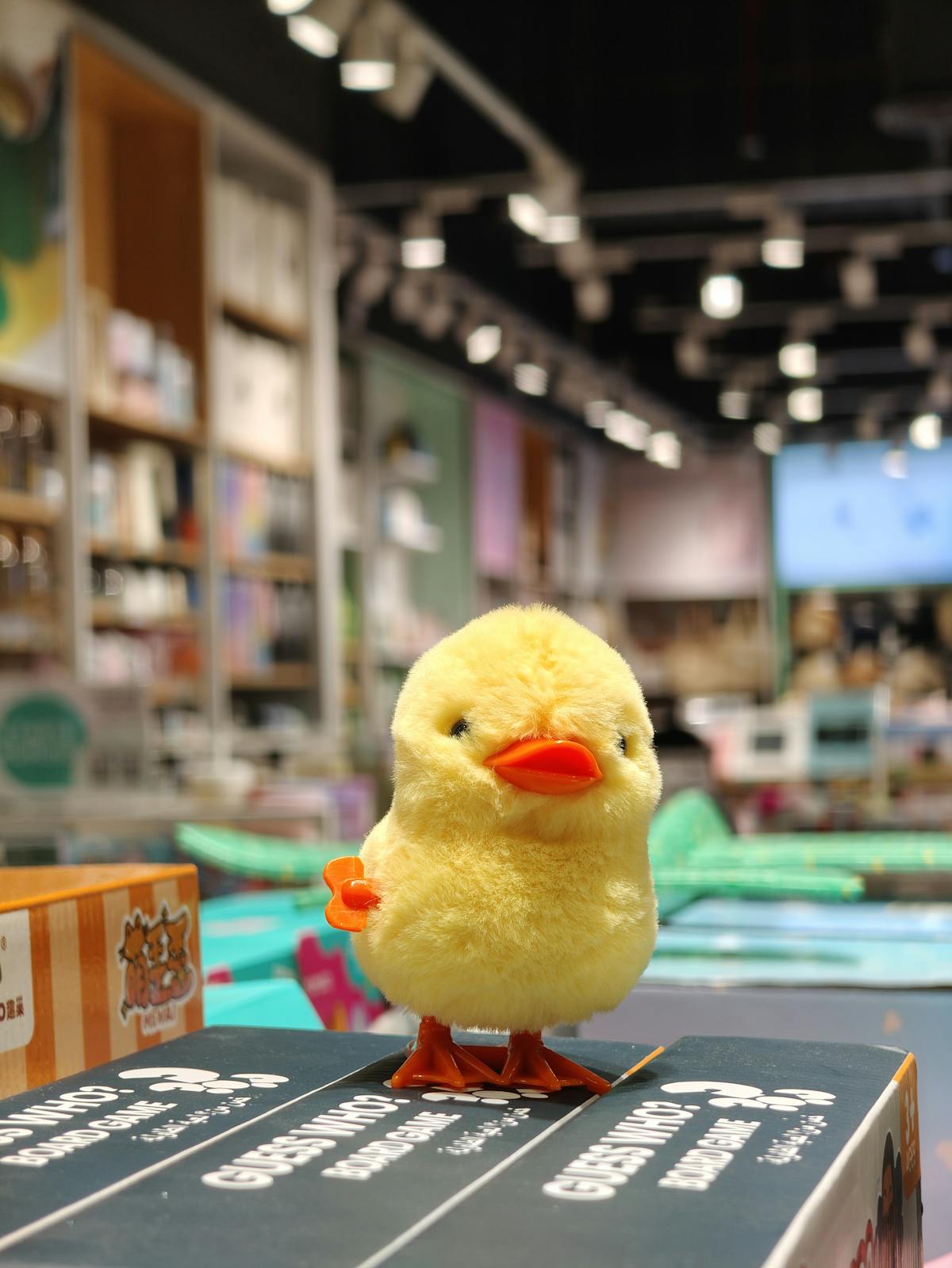 Duck+Pfp Photos, Download The BEST Free Duck+Pfp Stock Photos & HD Images