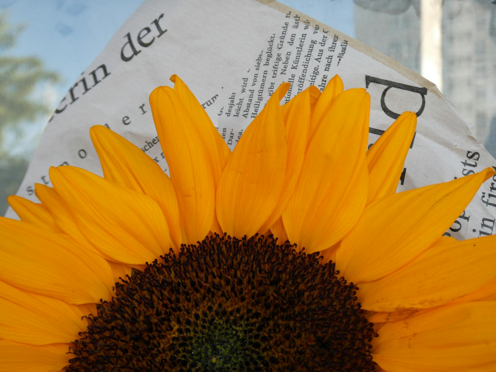 Textured Paper Photos, Download The BEST Free Textured Paper Stock ...