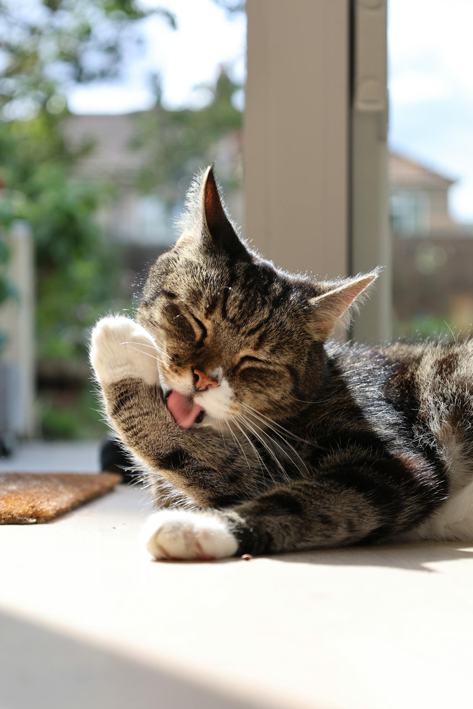 Panties+Down+And+Bend+Over Photos, Download The BEST Free Panties+Down ...