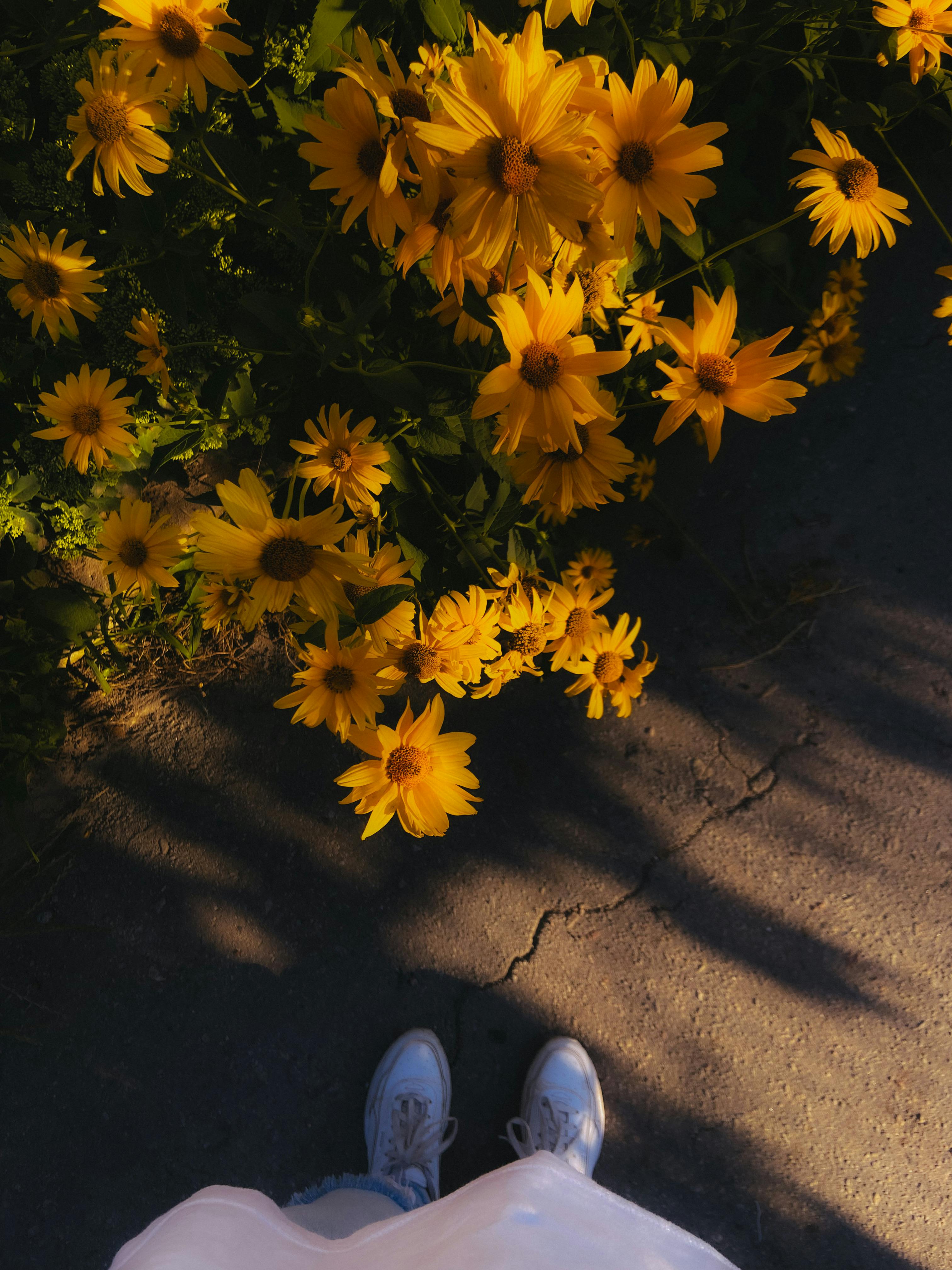 Footsteps Photos, Download The BEST Free Footsteps Stock Photos & HD Images