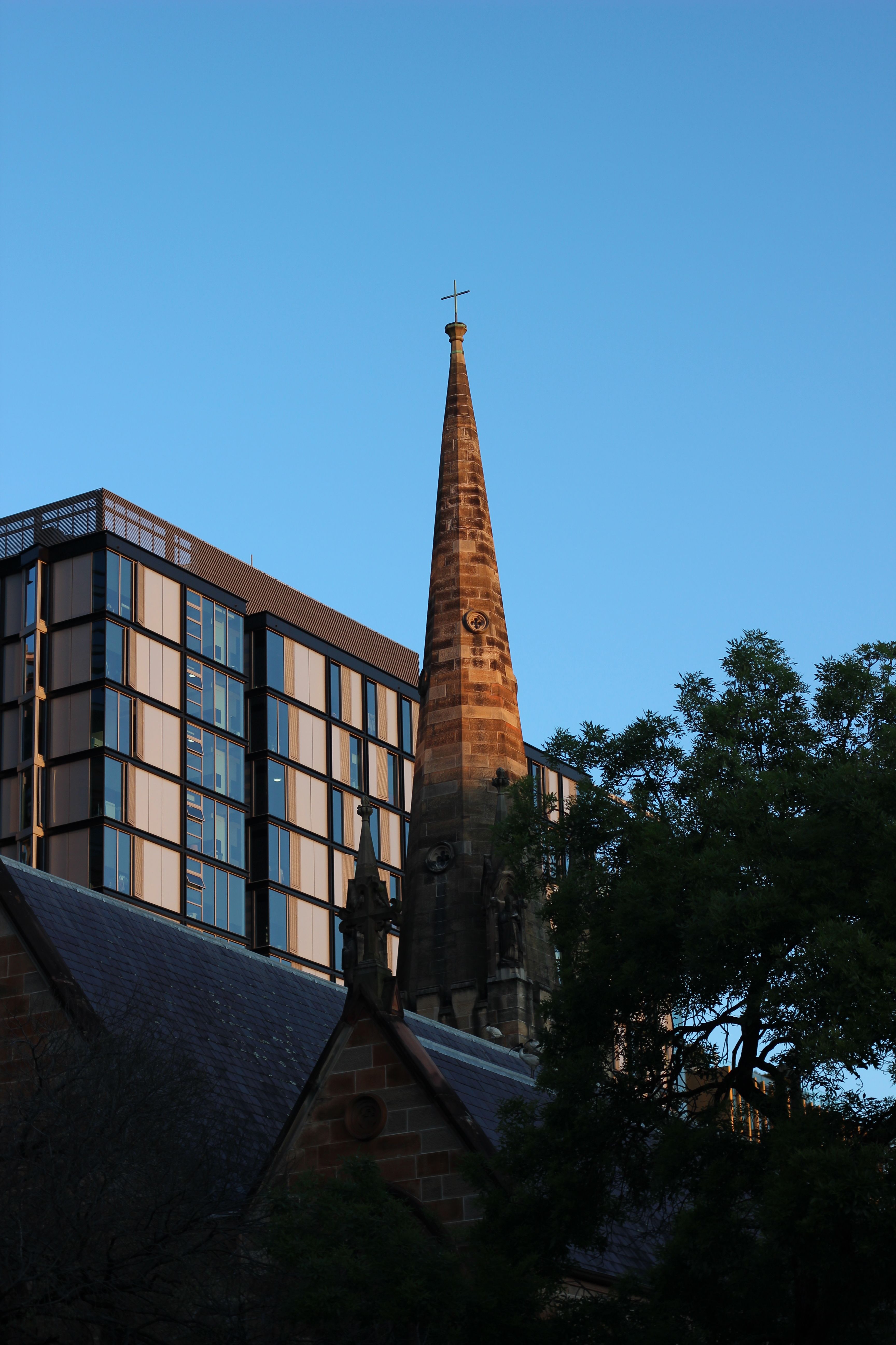 Sydney Church Spire at Dusk Against Modern Skyline · Free Stock Photo