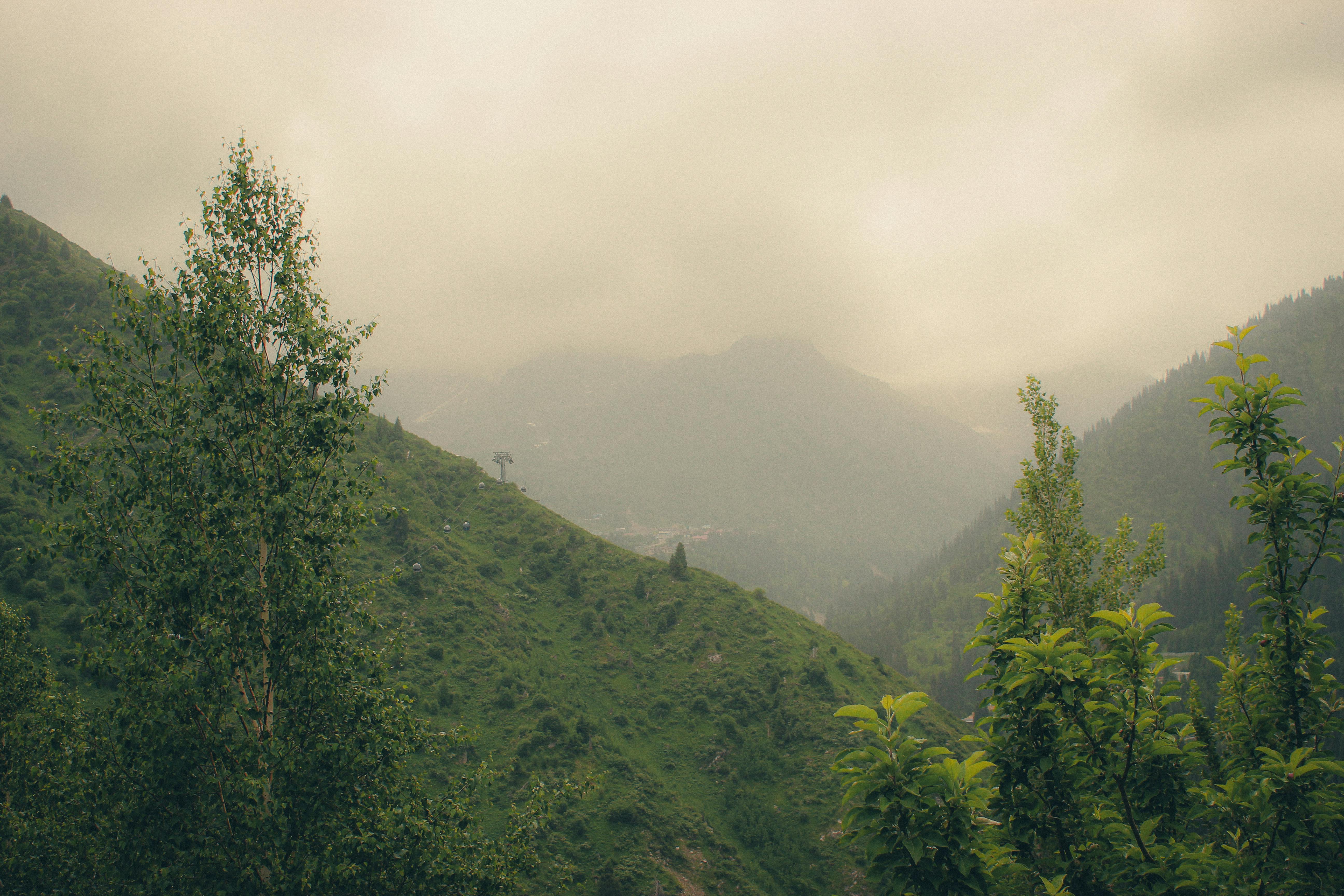 Xgroovy+Pictures Photos, Download The BEST Free Xgroovy+Pictures Stock ...