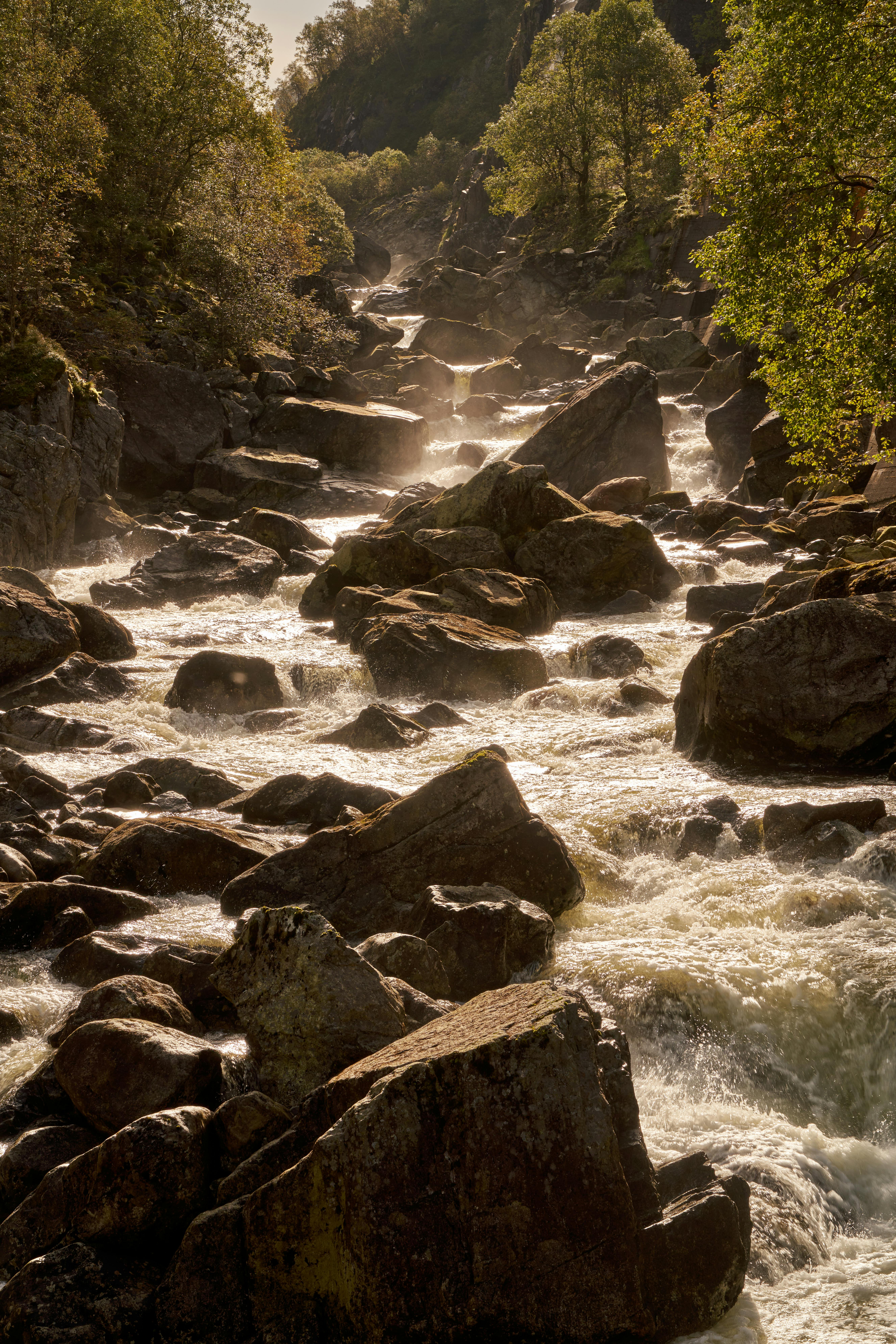 Winter Landscape Ryzhkov Olekandr Shutterstock Photos, Download The ...