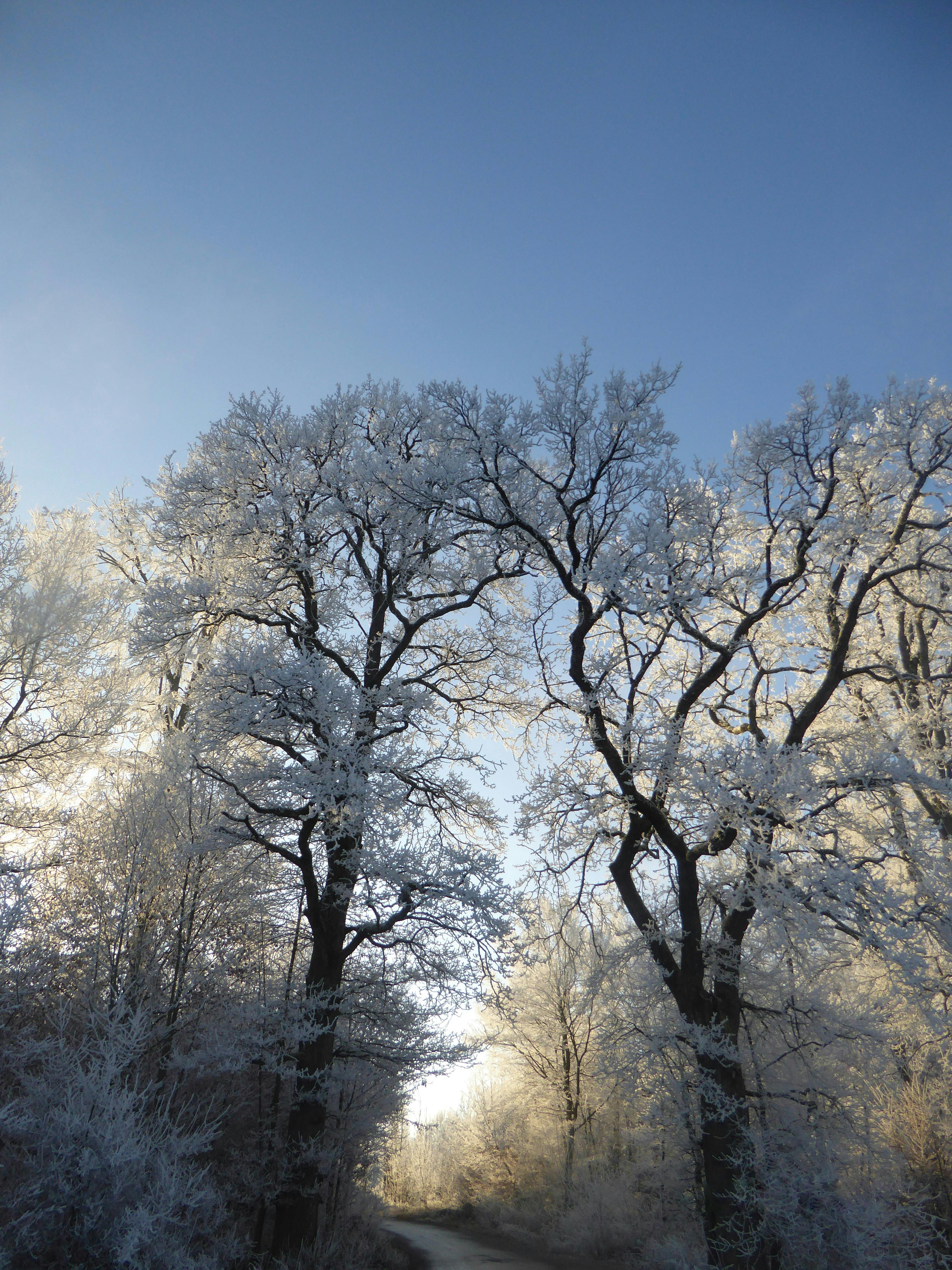 Winter Landscape Ryzhkov Olekandr Shutterstock Photos, Download The ...