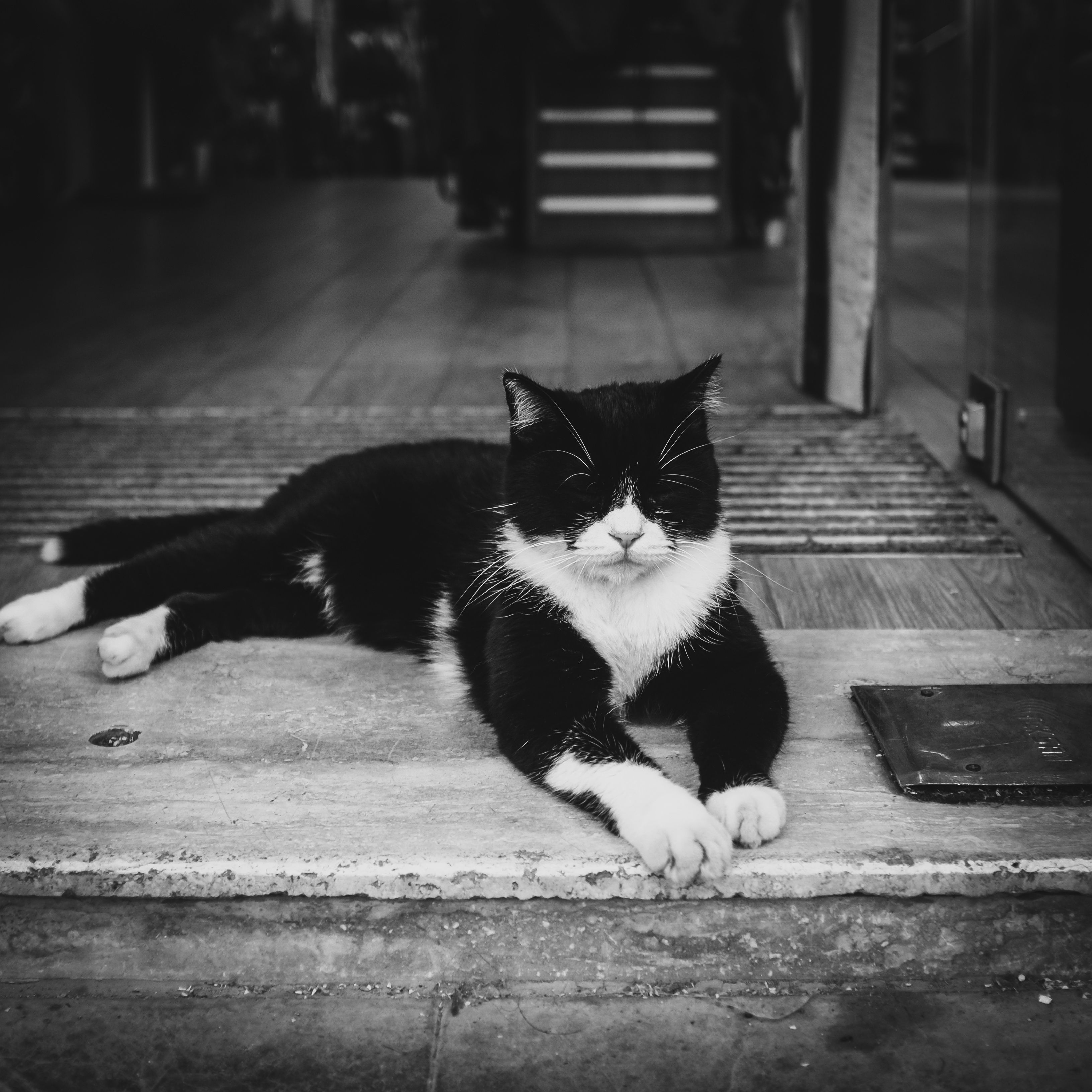 Edpm+Photo Photos, Download The BEST Free Edpm+Photo Stock Photos & HD ...