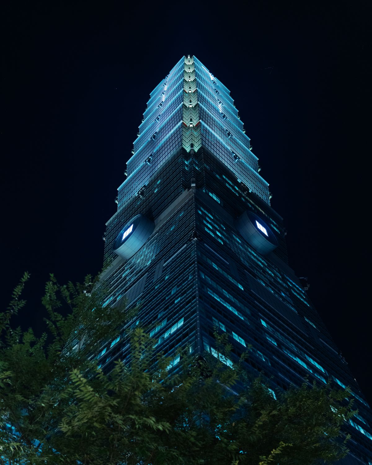 Tall Photos, Download The BEST Free Tall Stock Photos & HD Images