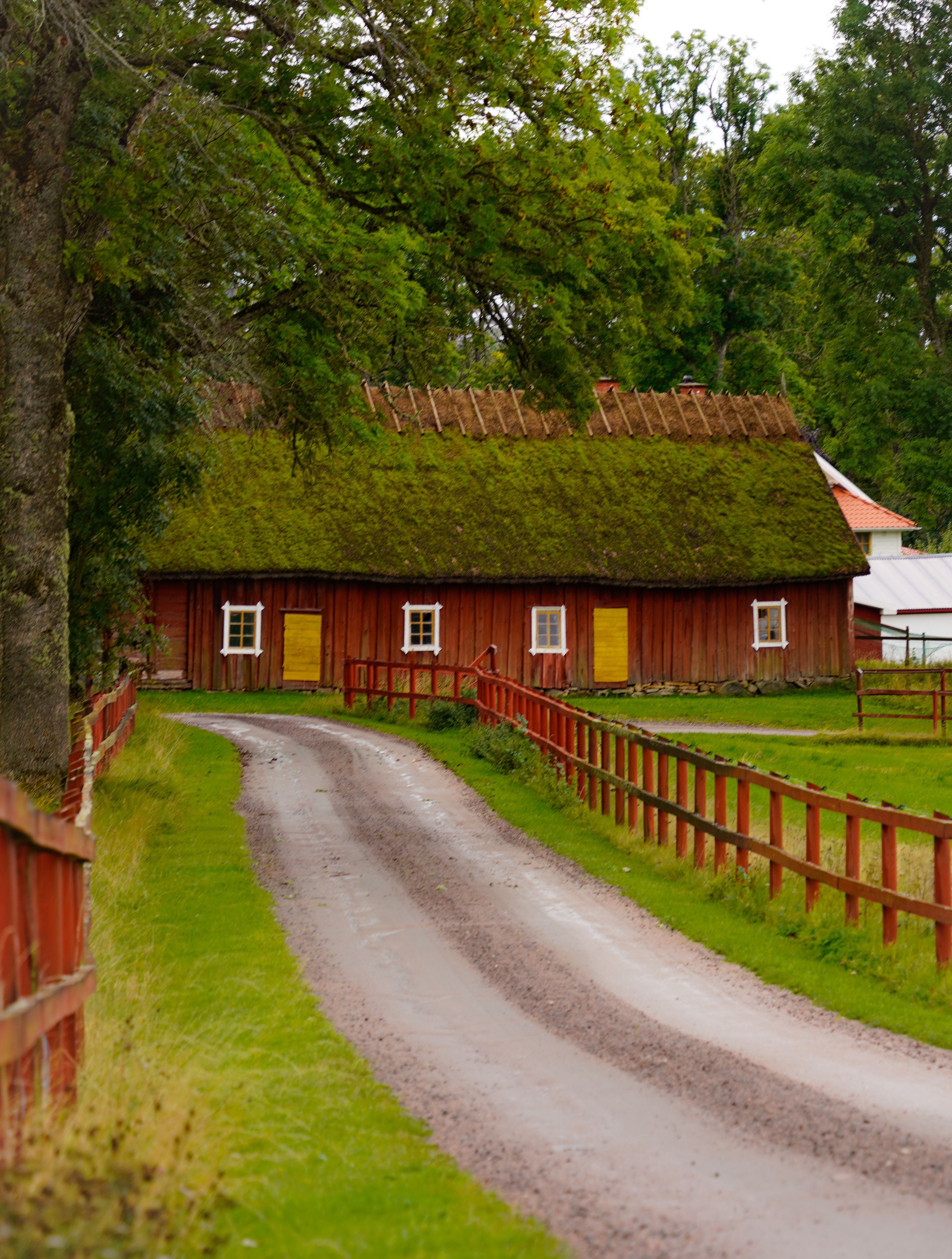Rustic Red Barn with Moss Roof in Lush Greenery · Free Stock Photo