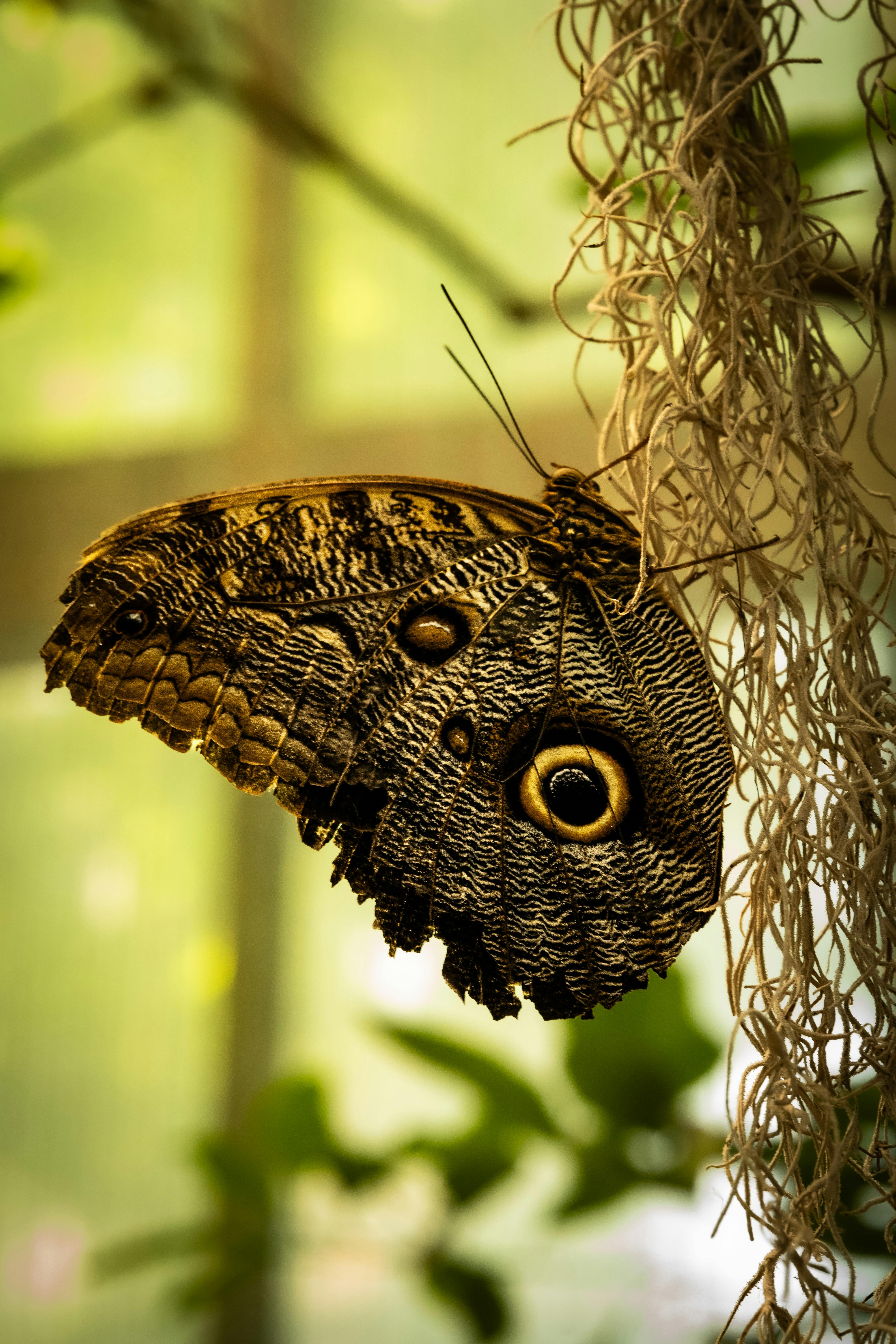 Detailed Photos, Download The BEST Free Detailed Stock Photos & HD Images