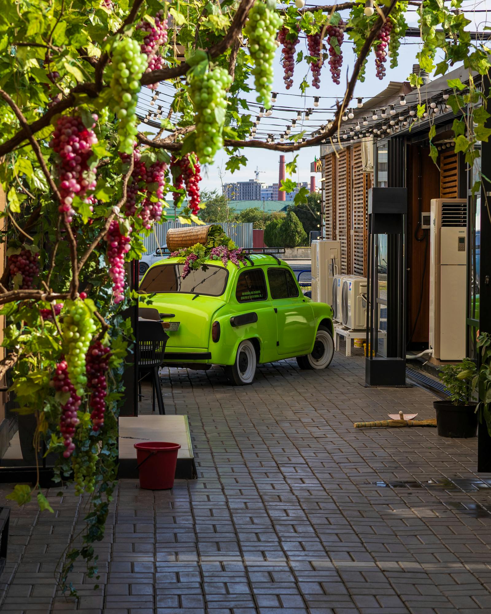 Grow+A+Garden+Wallpaper Photos, Download The BEST Free Grow+A+Garden ...