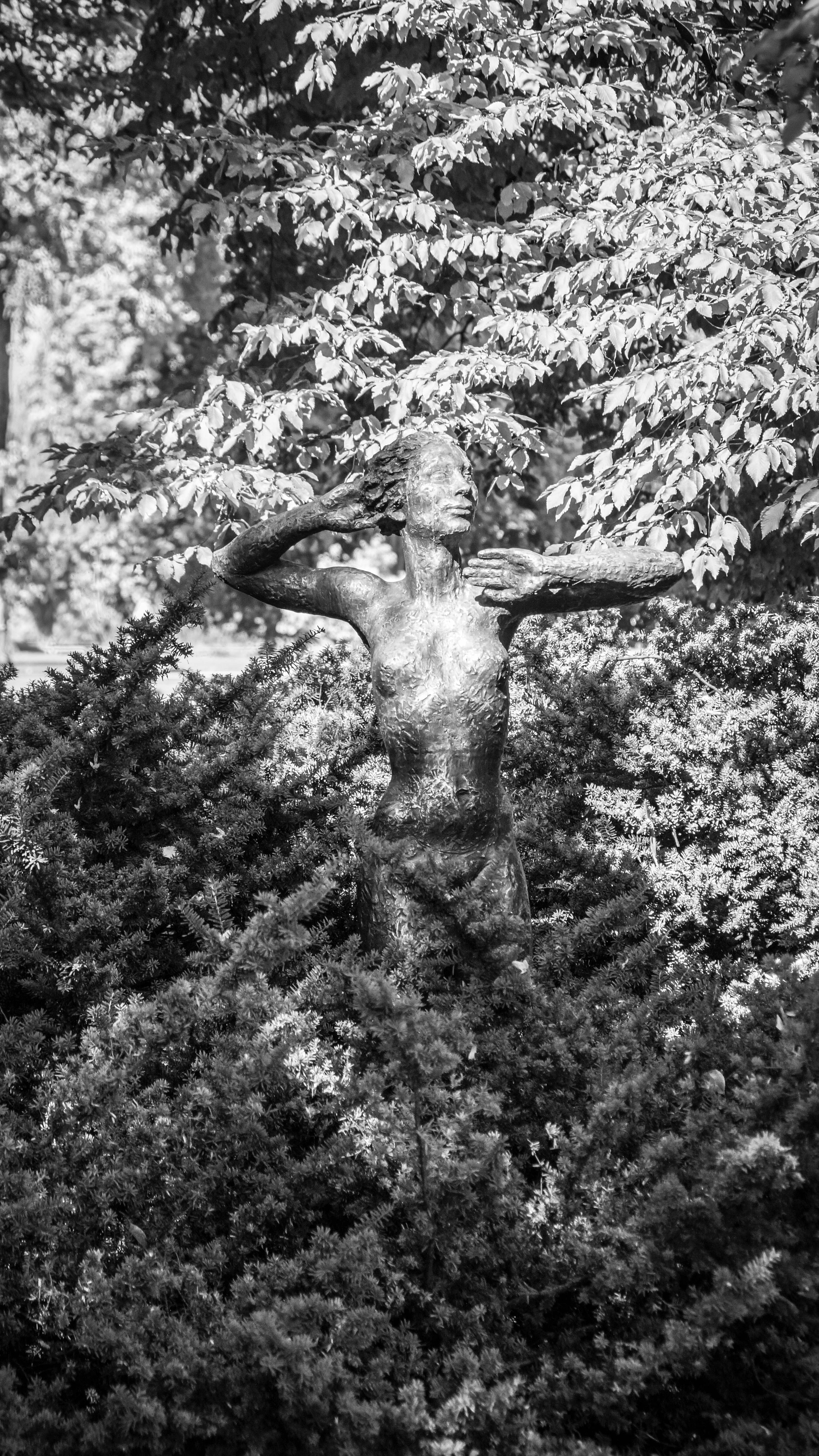 Statue Texture Photos, Download The BEST Free Statue Texture Stock ...