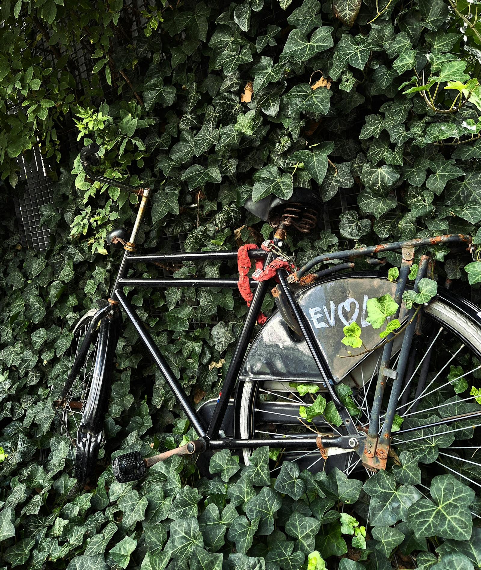 Grow+A+Garden+Wallpaper Photos, Download The BEST Free Grow+A+Garden ...