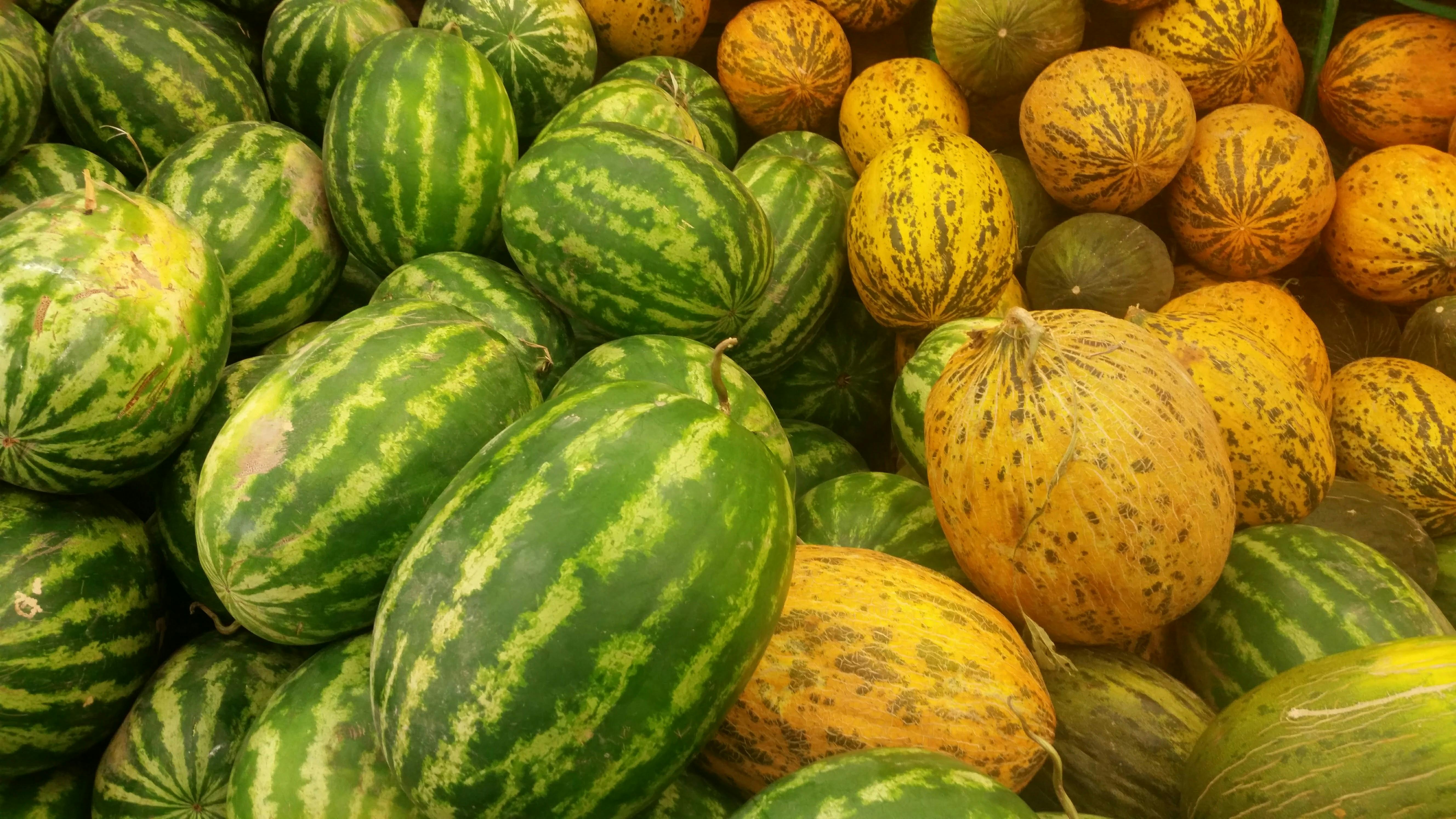 Fresh Fruit Photos, Download The BEST Free Fresh Fruit Stock Photos ...