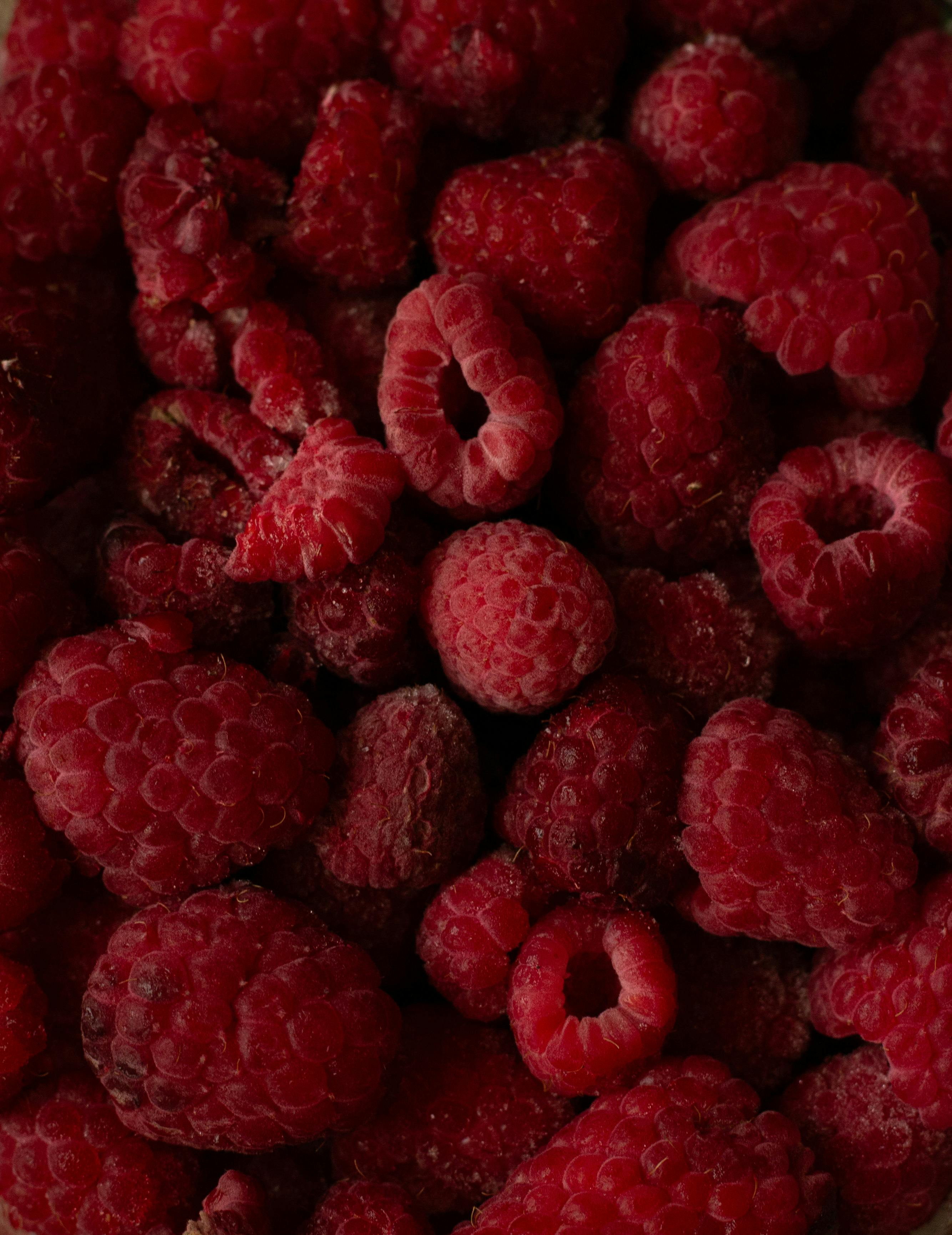 High Quality Photos, Download The BEST Free High Quality Stock Photos ...