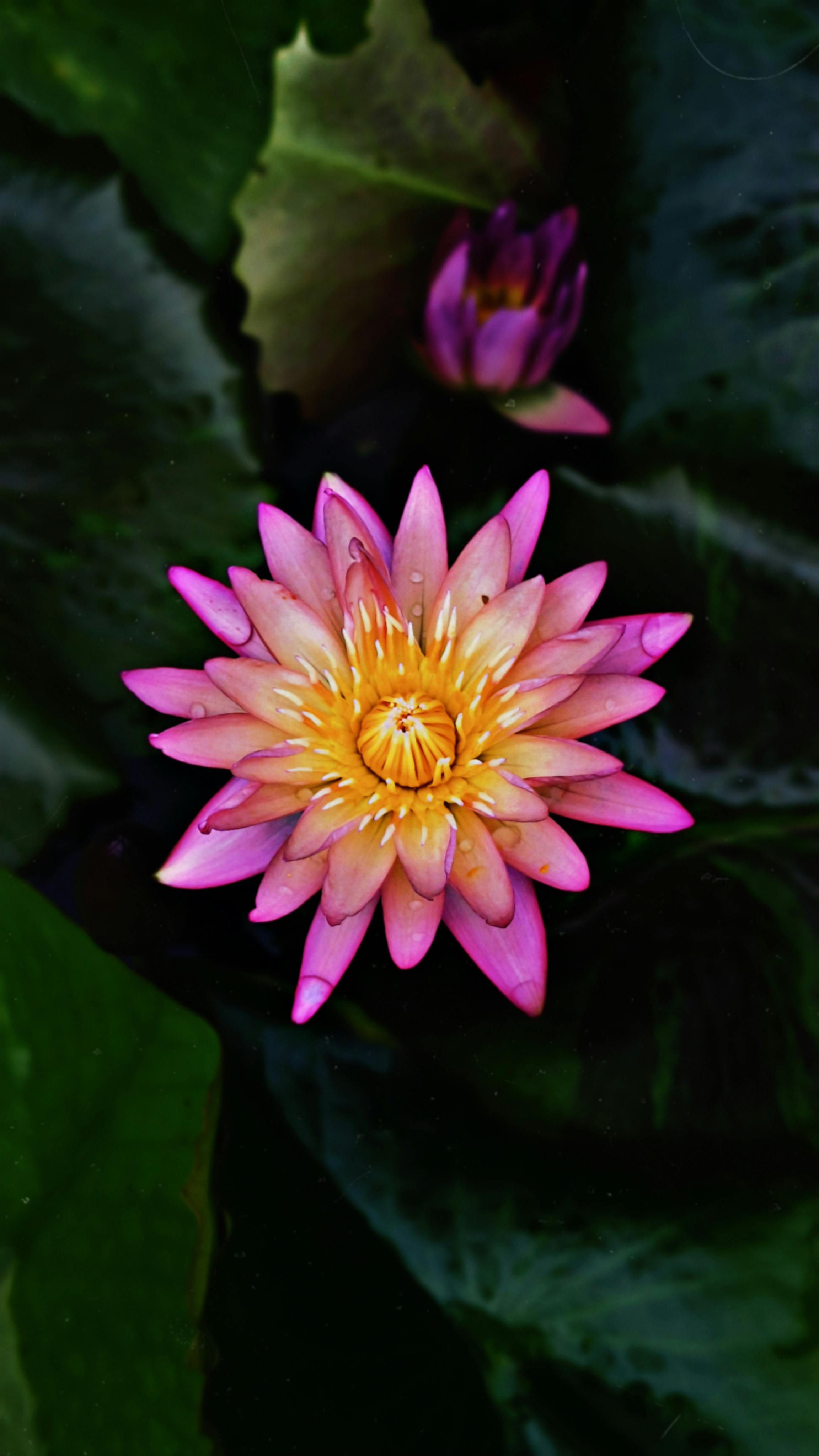 Y2k+Wallpaper+Xbox Photos, Download The BEST Free Y2k+Wallpaper+Xbox ...