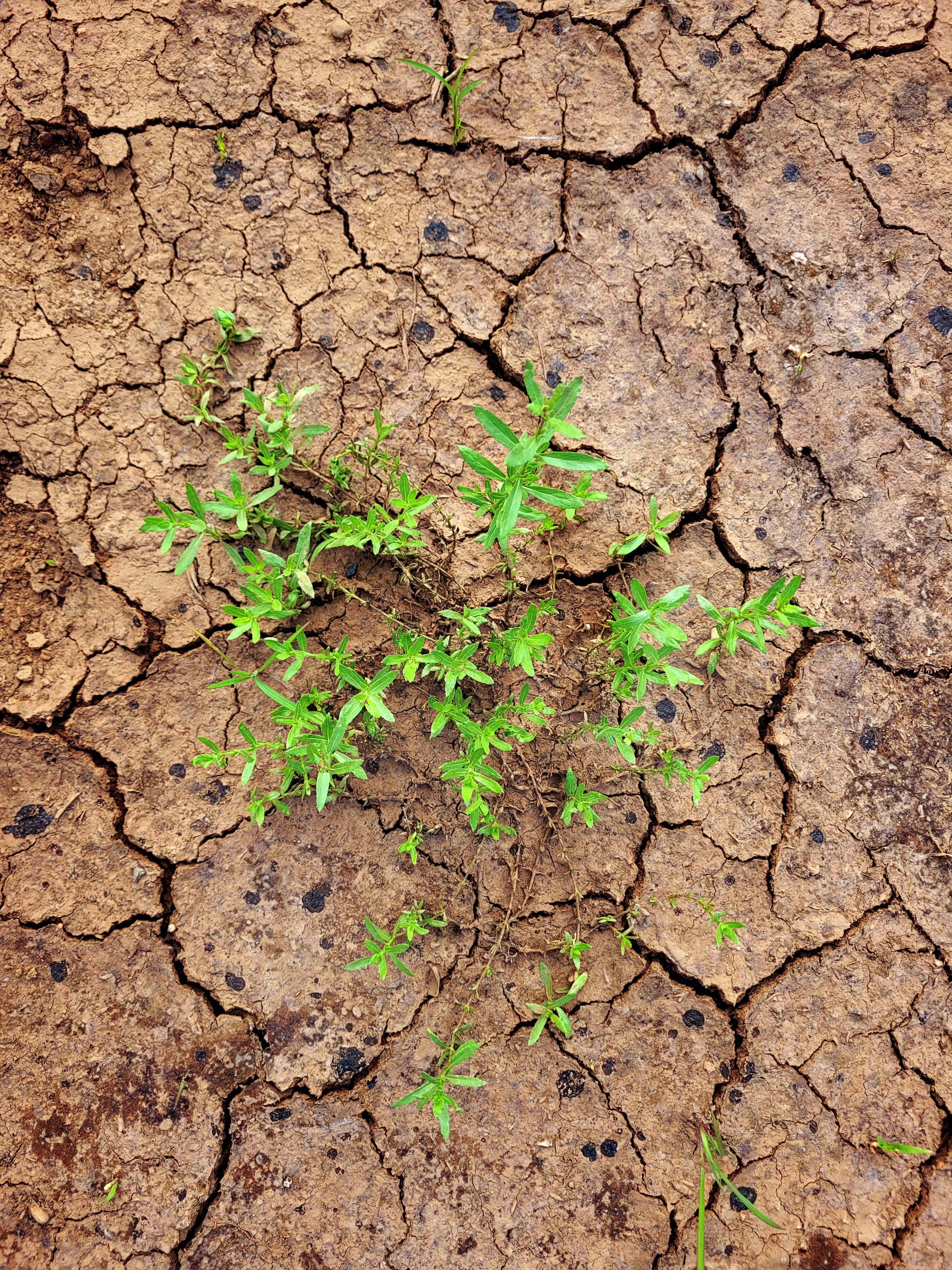 Land Chut Photos, Download The BEST Free Land Chut Stock Photos & HD Images