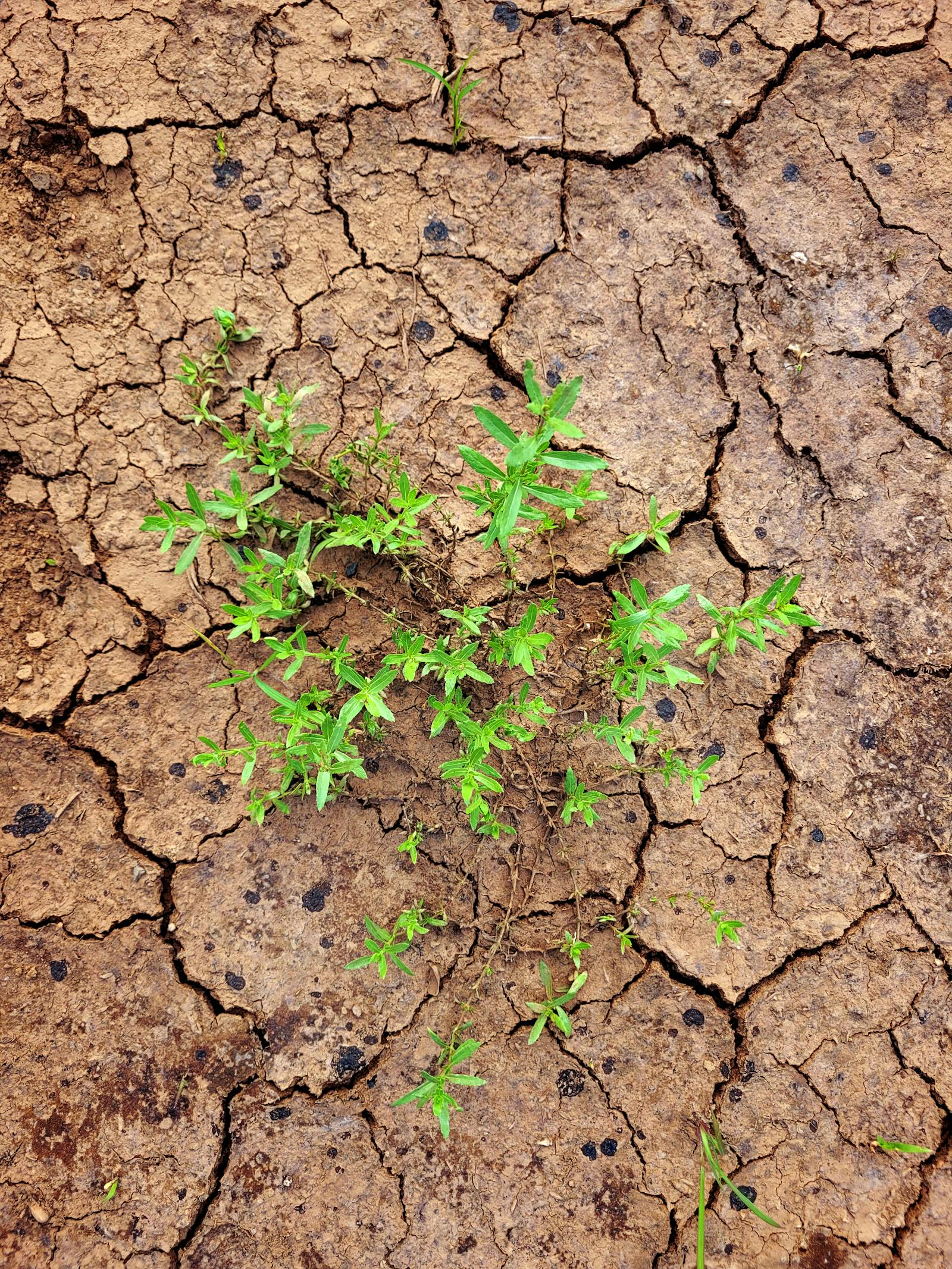 Soil Testing Photos, Download The BEST Free Soil Testing Stock Photos ...