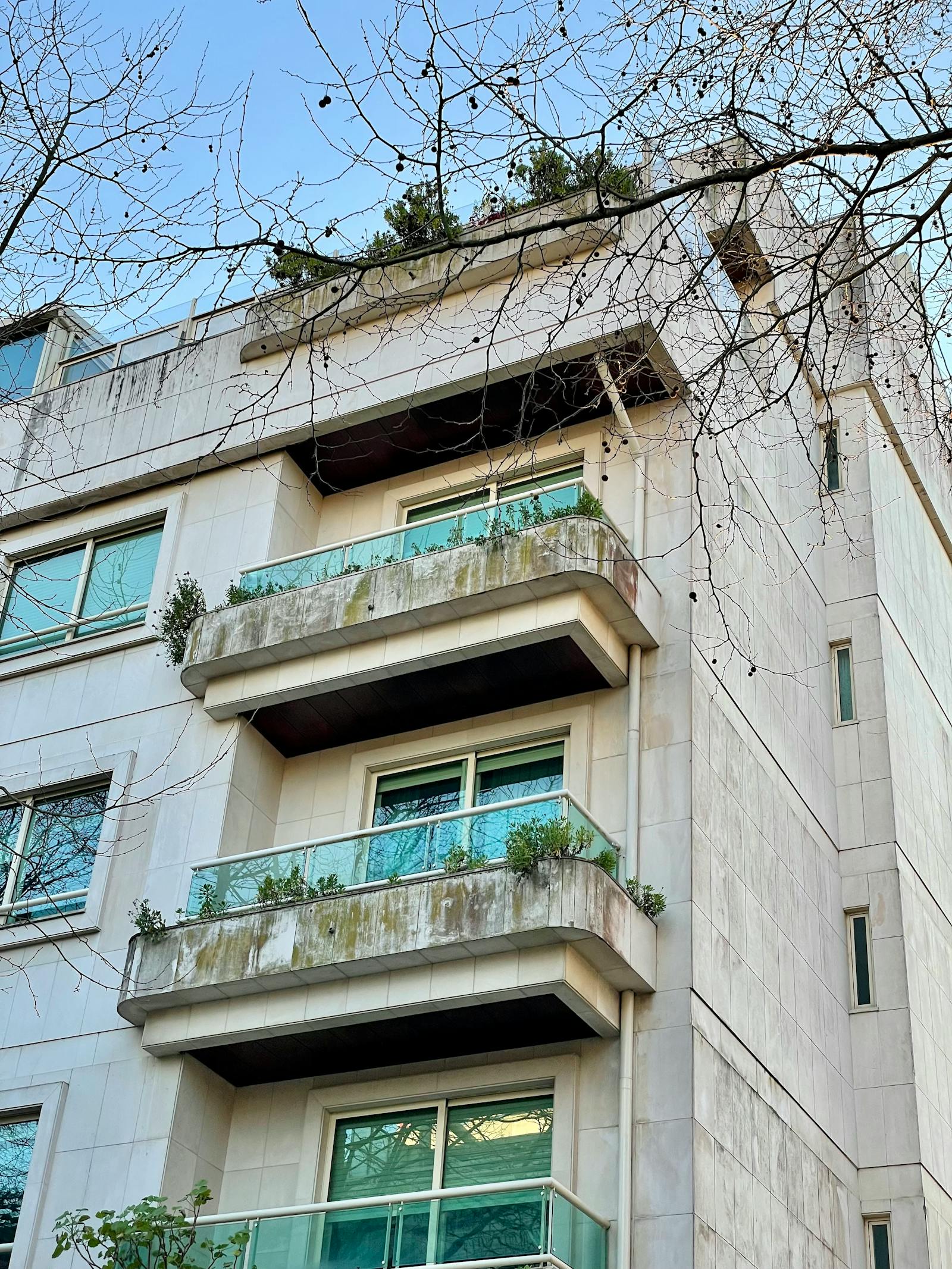 Pucca House Photos, Download The BEST Free Pucca House Stock Photos ...