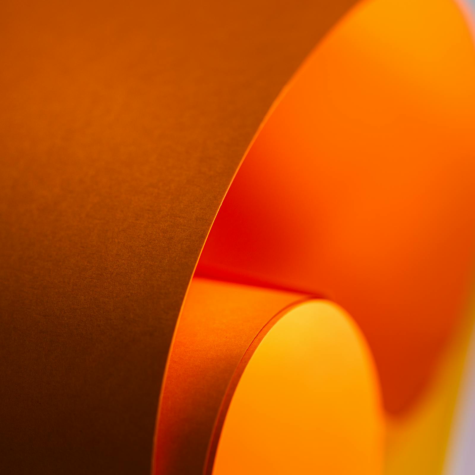 Orange Color Pfp Photos, Download The BEST Free Orange Color Pfp Stock ...