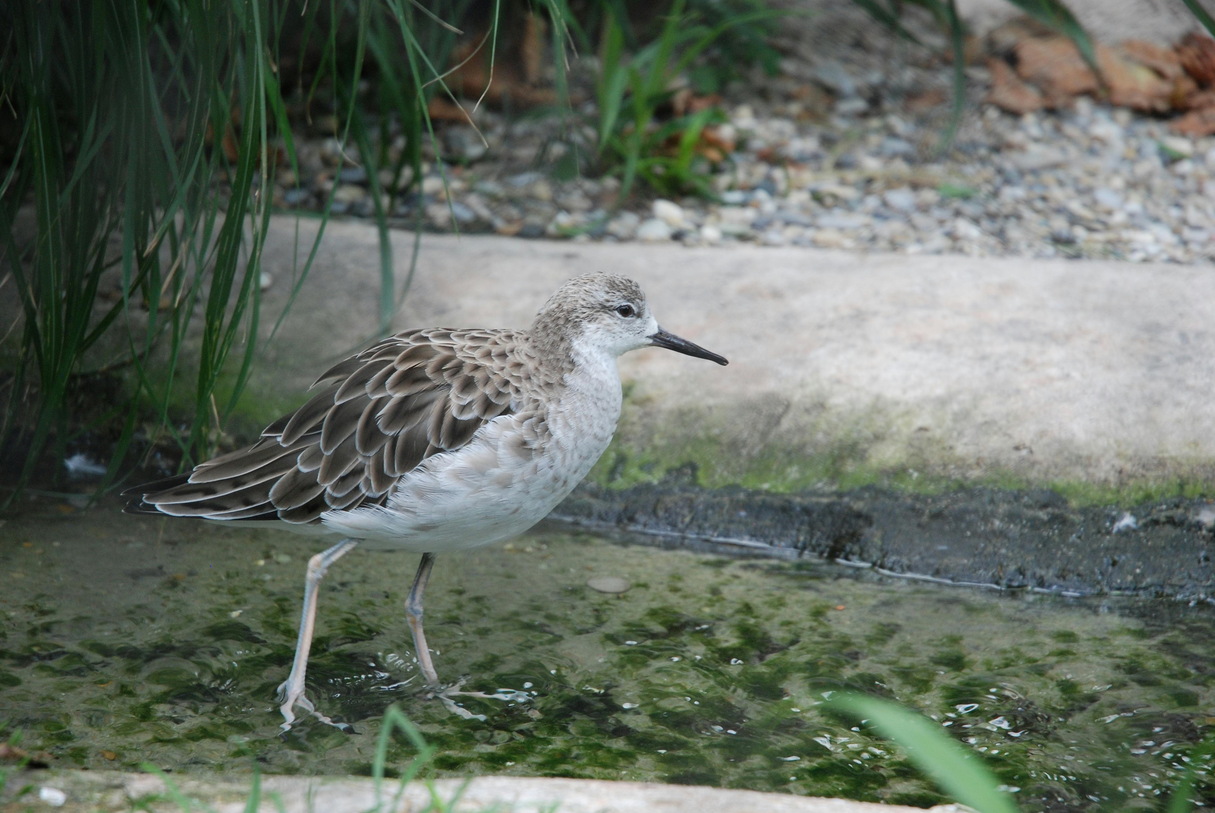 Goon+Pics Photos, Download The BEST Free Goon+Pics Stock Photos & HD Images