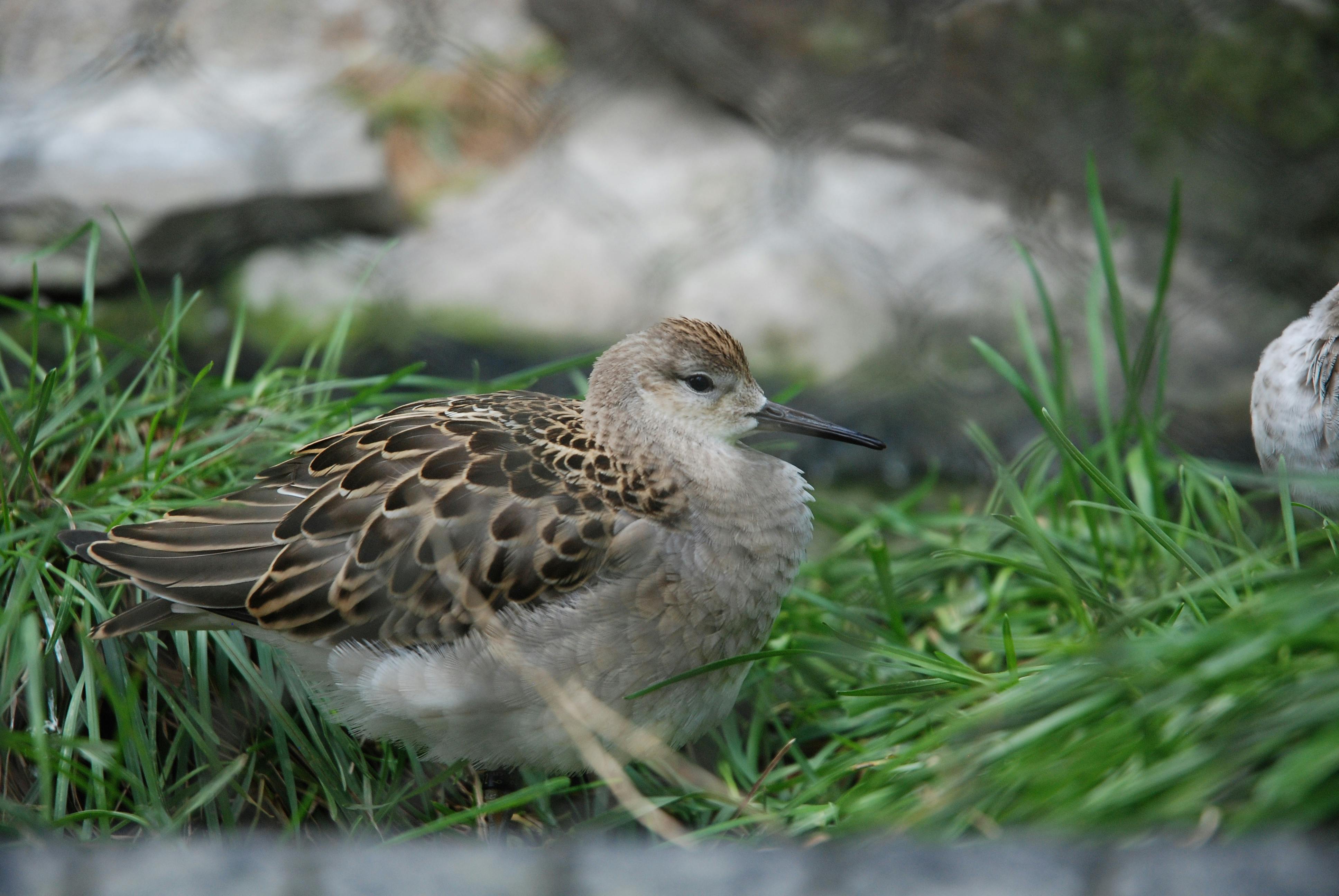 Goon+Pics Photos, Download The BEST Free Goon+Pics Stock Photos & HD Images