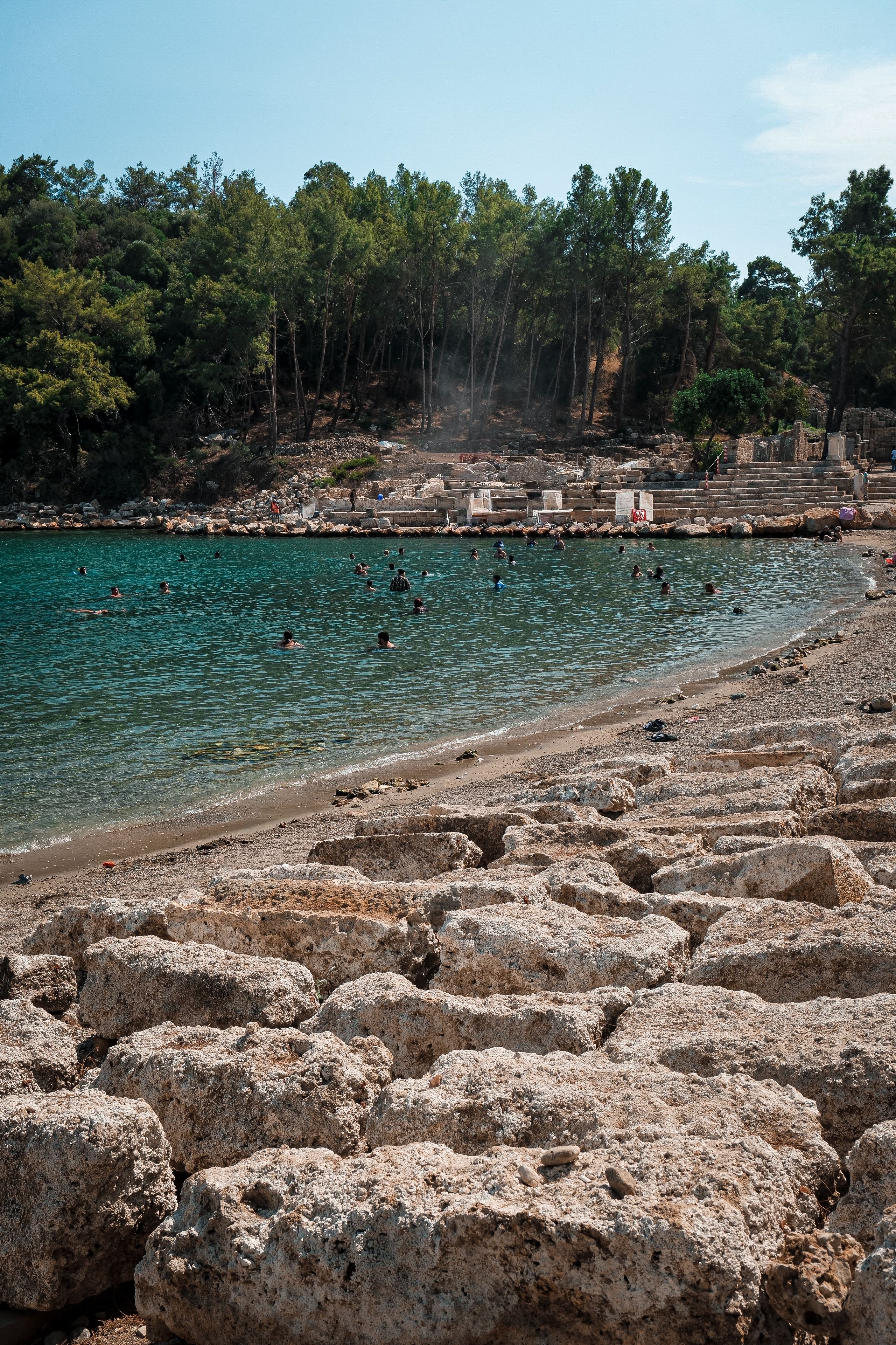 Beach Filo Tree Photos, Download The BEST Free Beach Filo Tree Stock ...