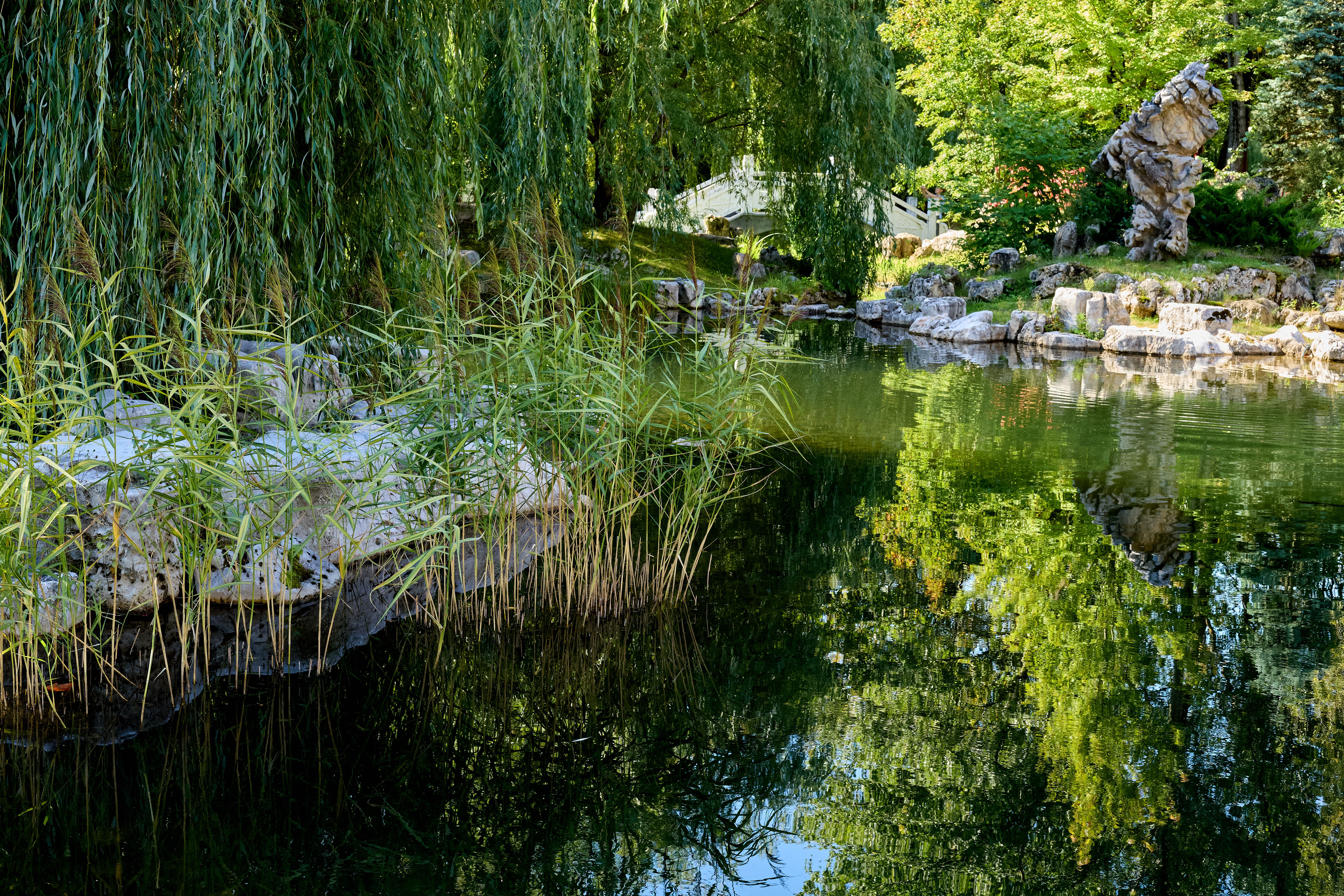 Serene Chinese Garden Reflection in Moscow Park · Free Stock Photo