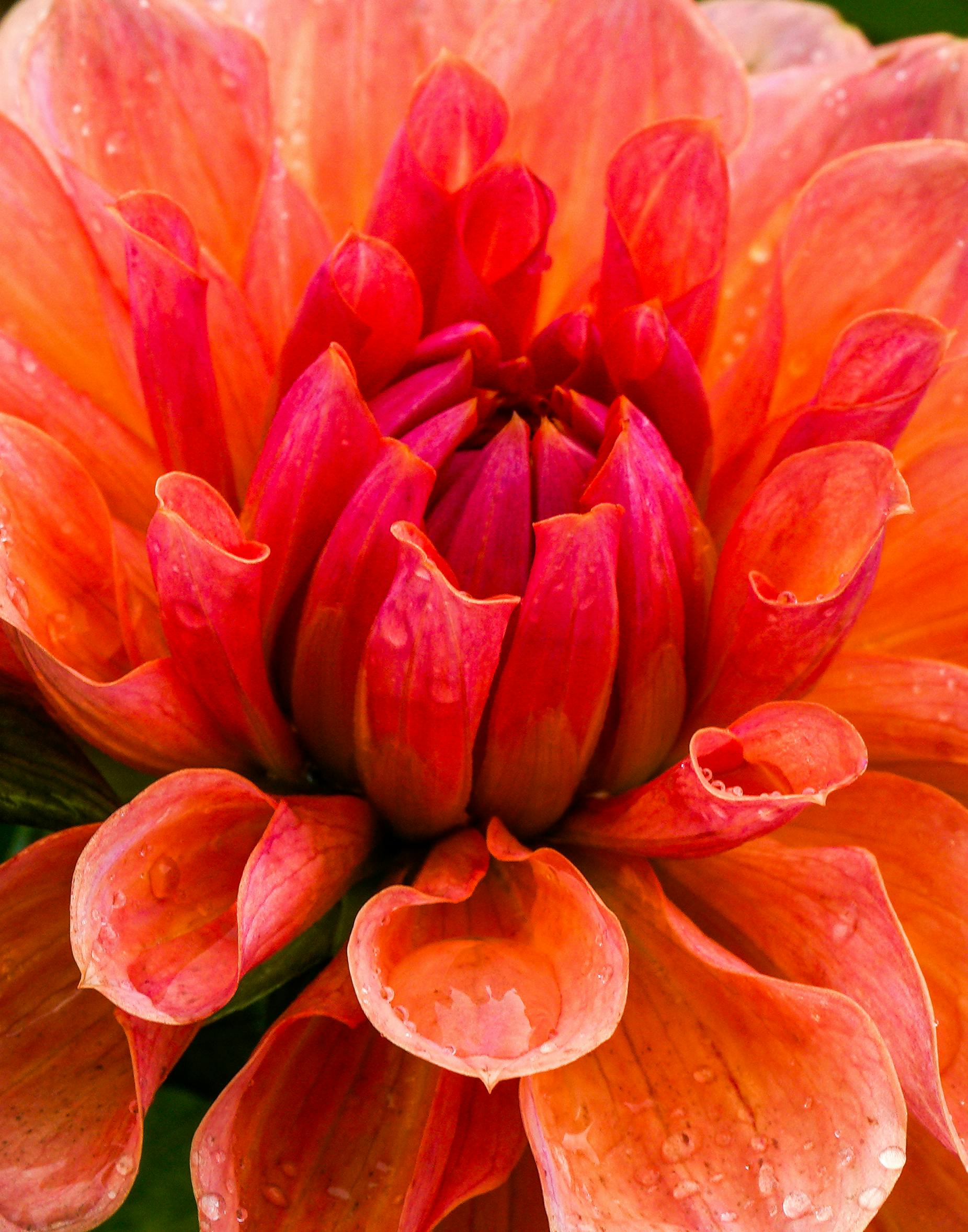 Cute+Drawings+Without+Colour Photos, Download The BEST Free Cute ...