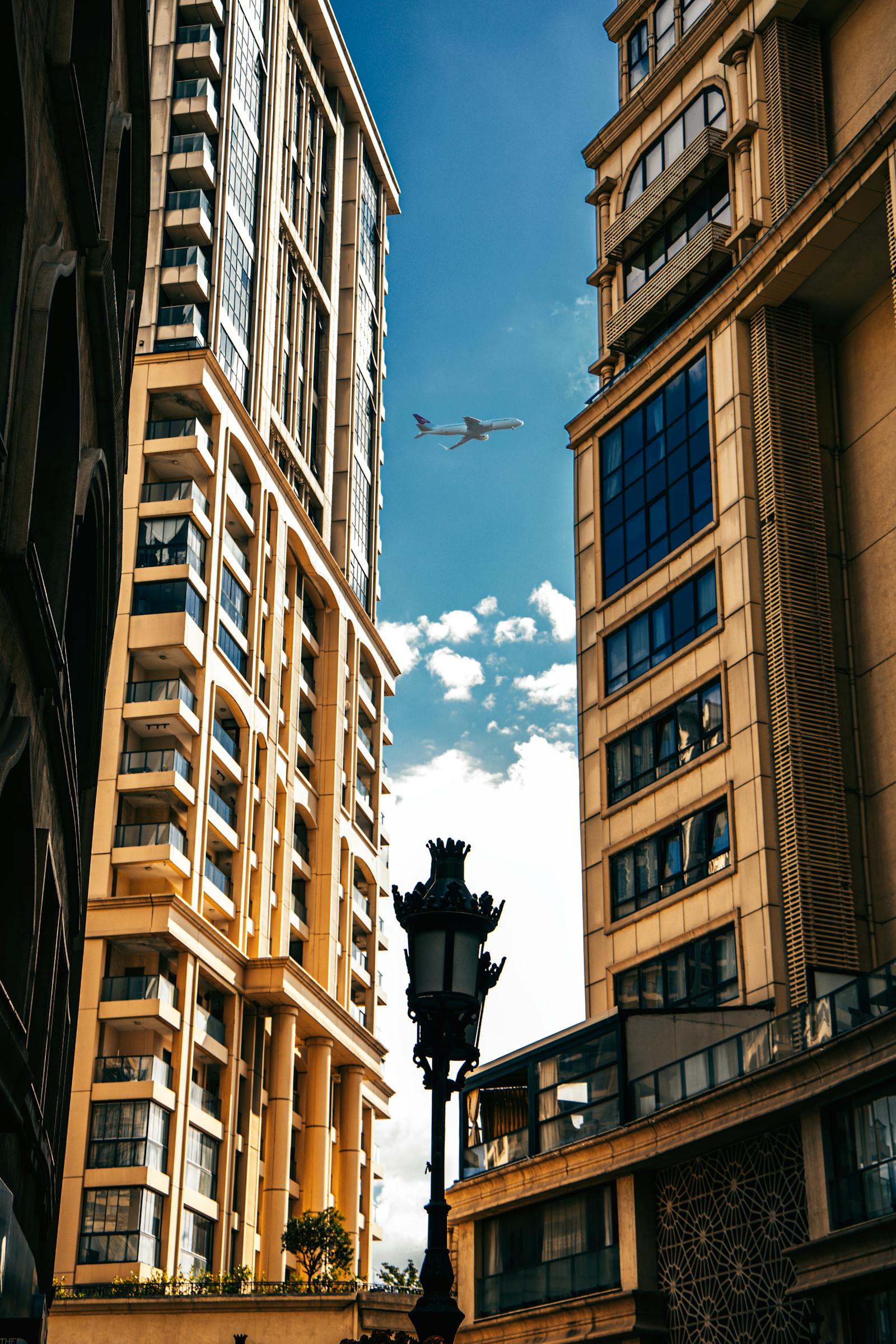 Flight+Attendant+Legs Photos, Download The BEST Free Flight+Attendant ...