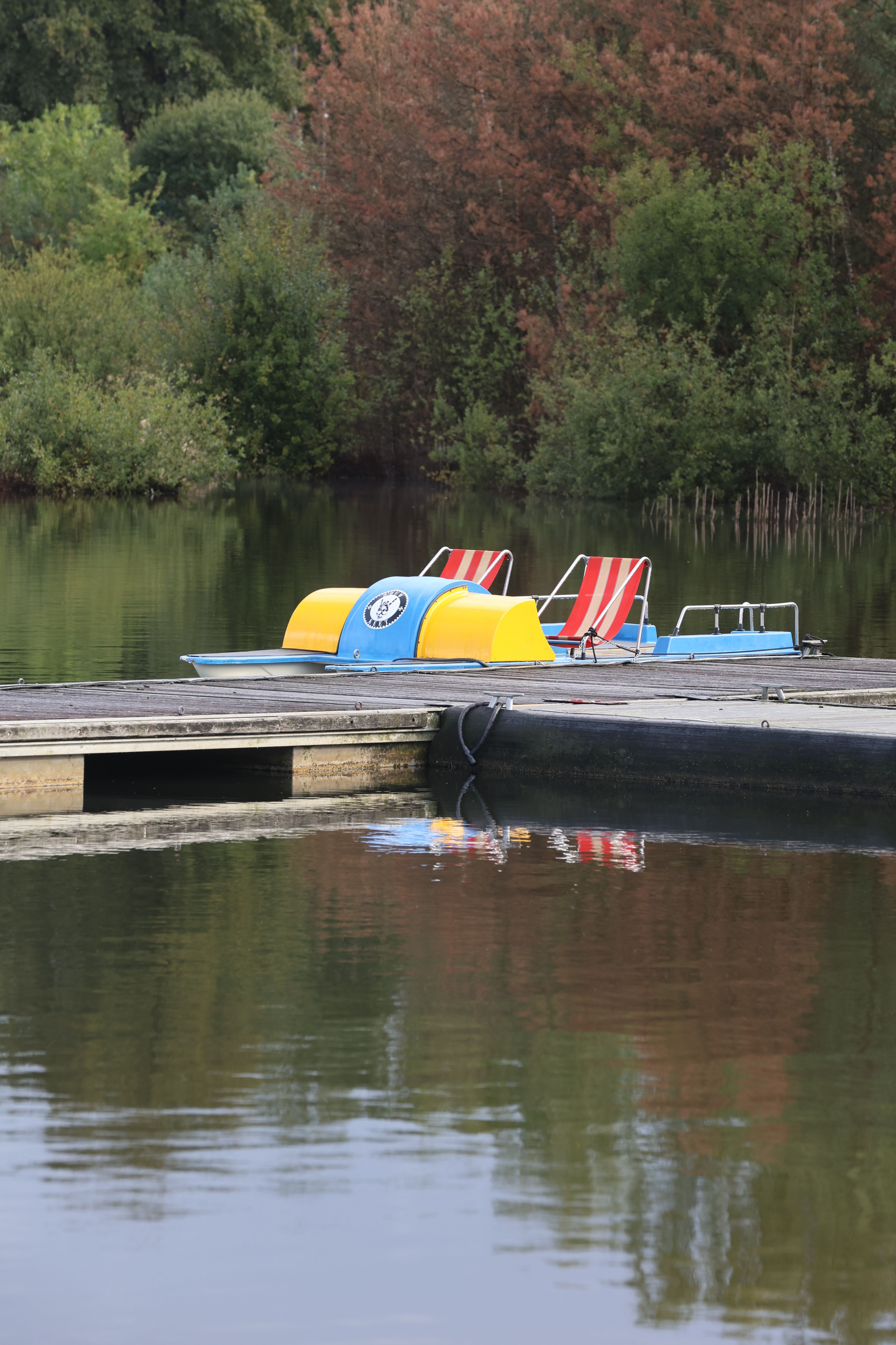 Colorful Paddle Boats on Serene Summer Lake · Free Stock Photo