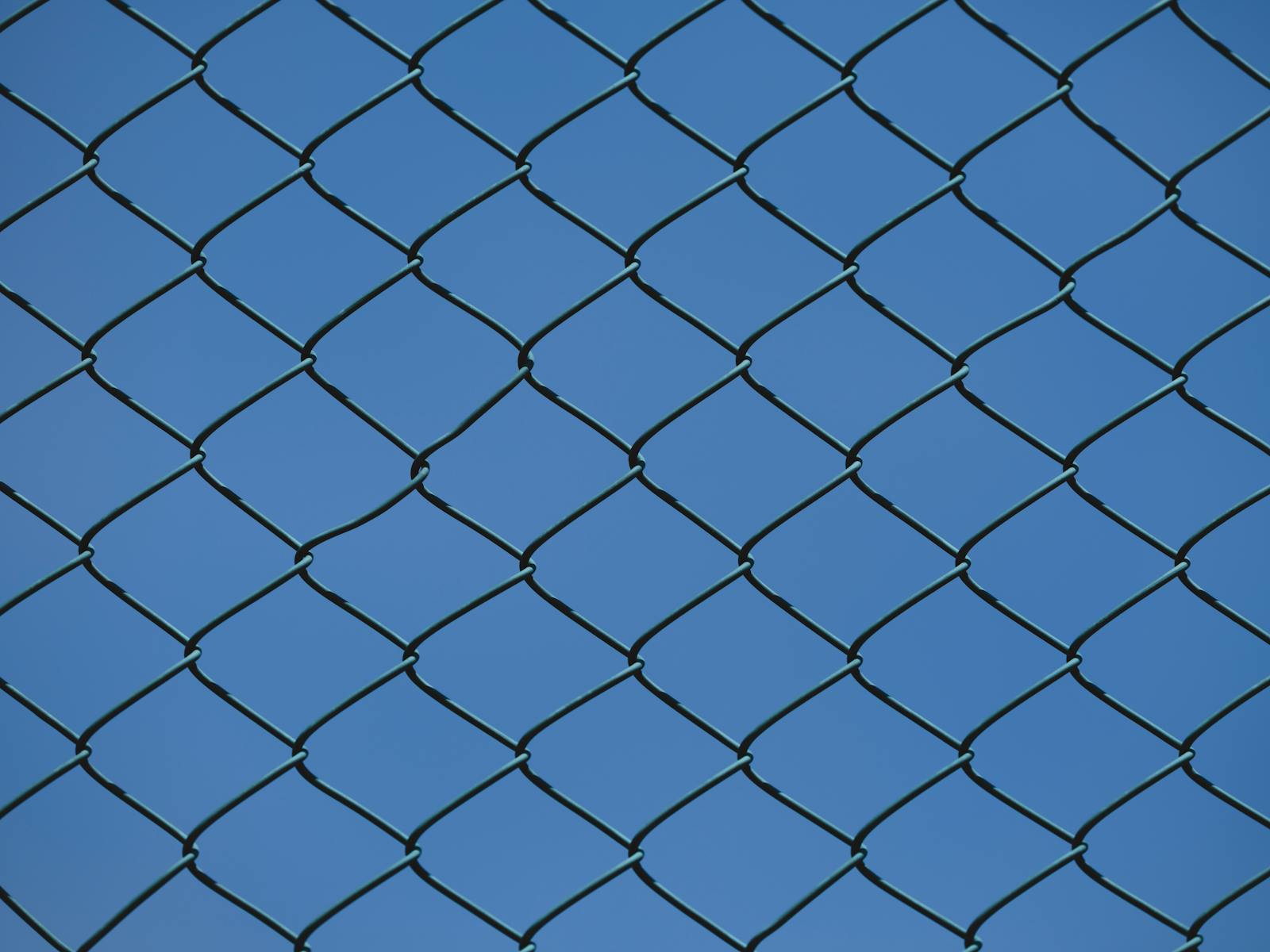 Blue Grid Background Photos, Download The BEST Free Blue Grid ...