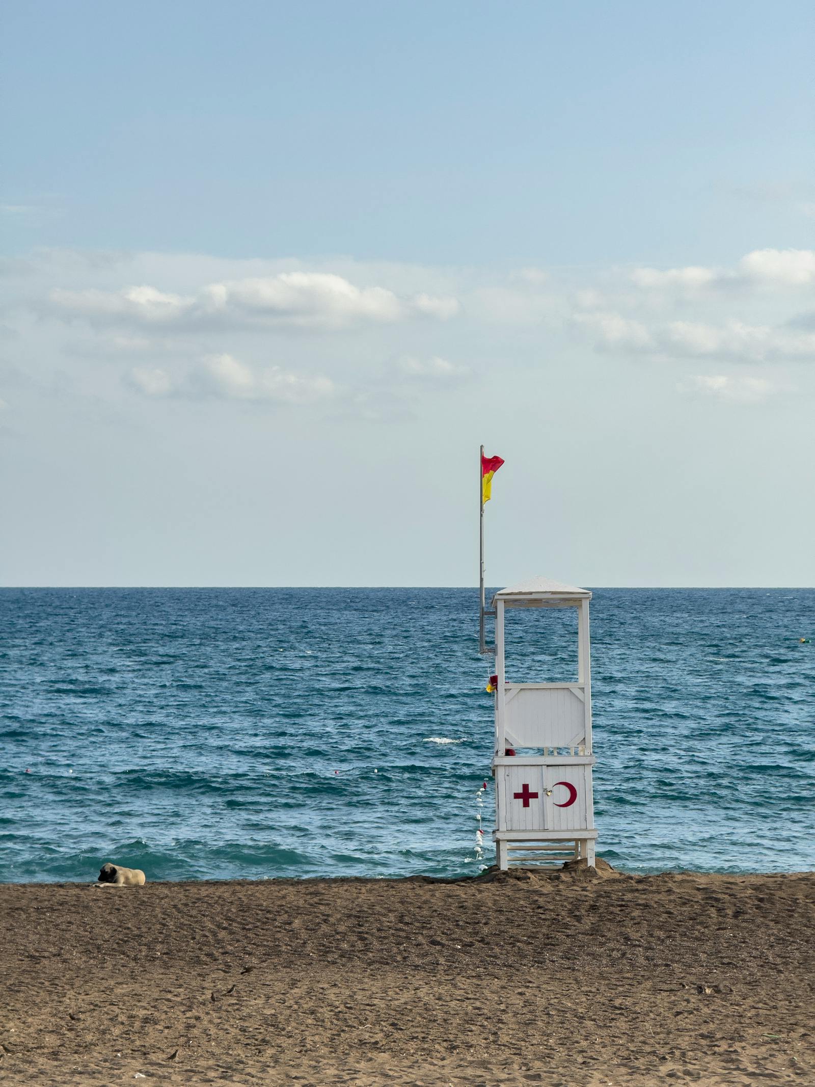 Lifeguard Photos, Download The BEST Free Lifeguard Stock Photos & HD Images
