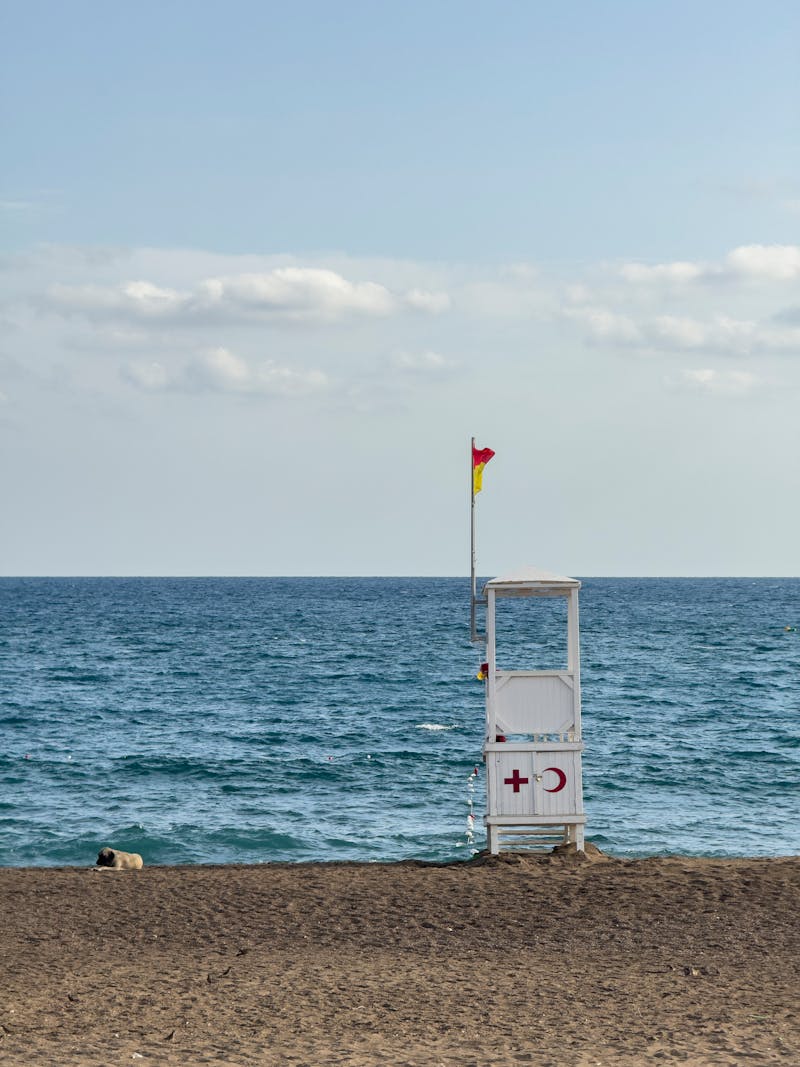 Lifeguard Photos, Download The BEST Free Lifeguard Stock Photos & HD Images