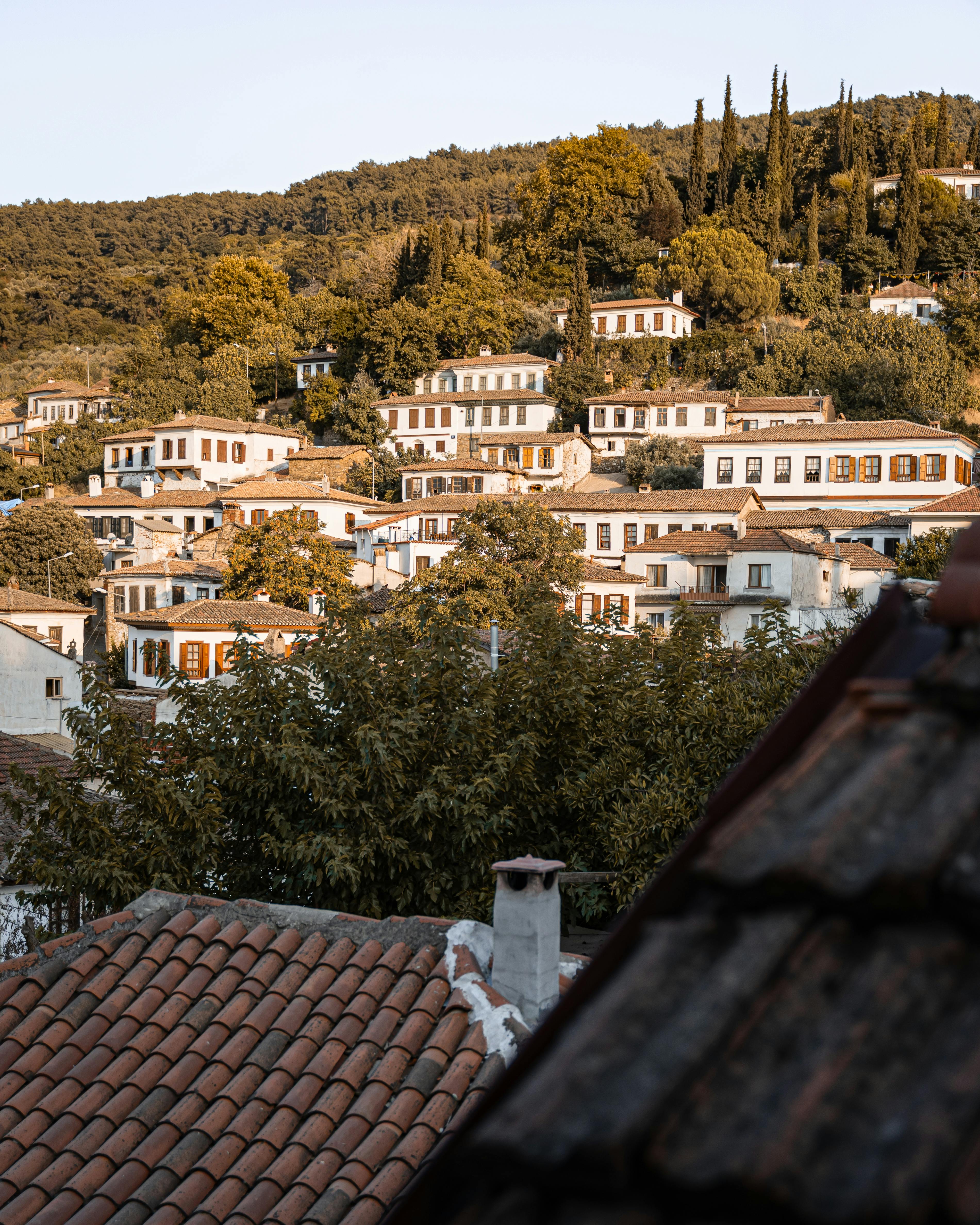 Ebony+Legs+Spread+Wide+Open Photos, Download The BEST Free Ebony+Legs ...